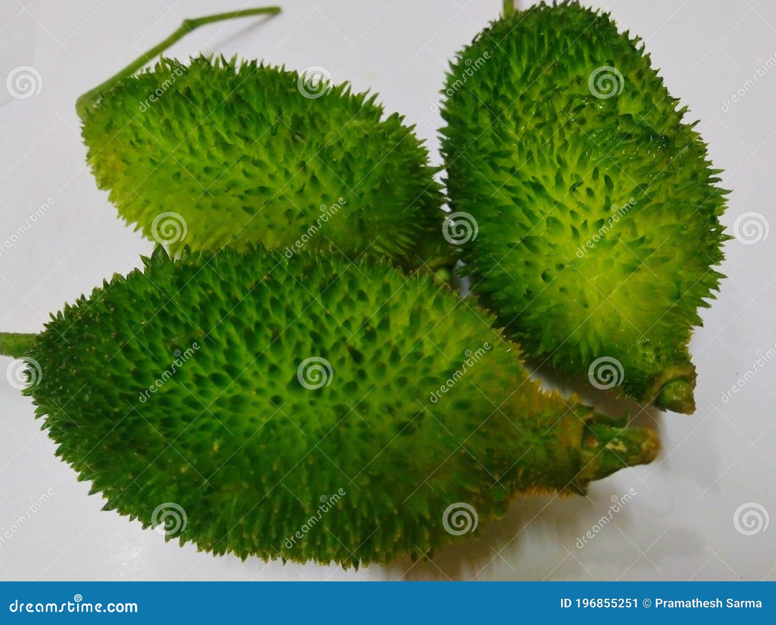 A Close Up View of Sweet Gourd Vegetable Stock Image - Image of view ...