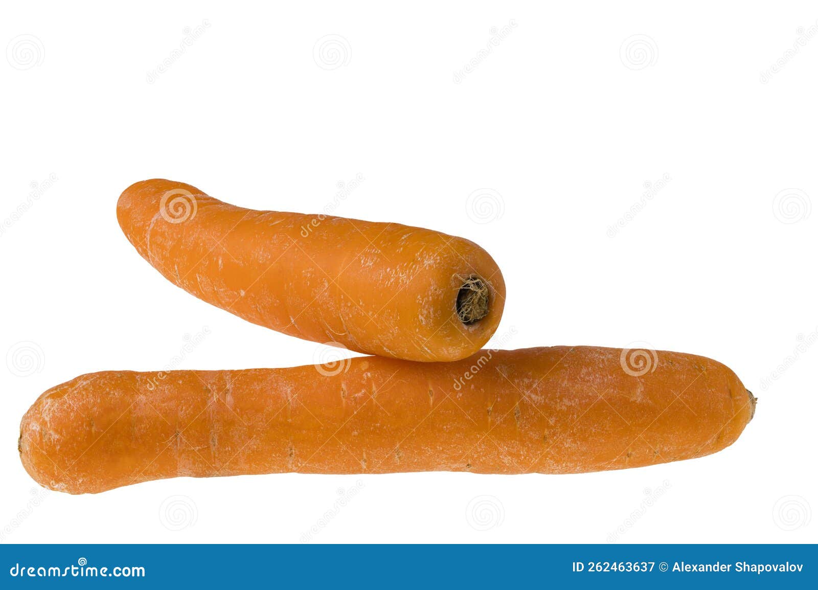 Close Up View of Two Carrots Isolated on White Background. Stock Image ...