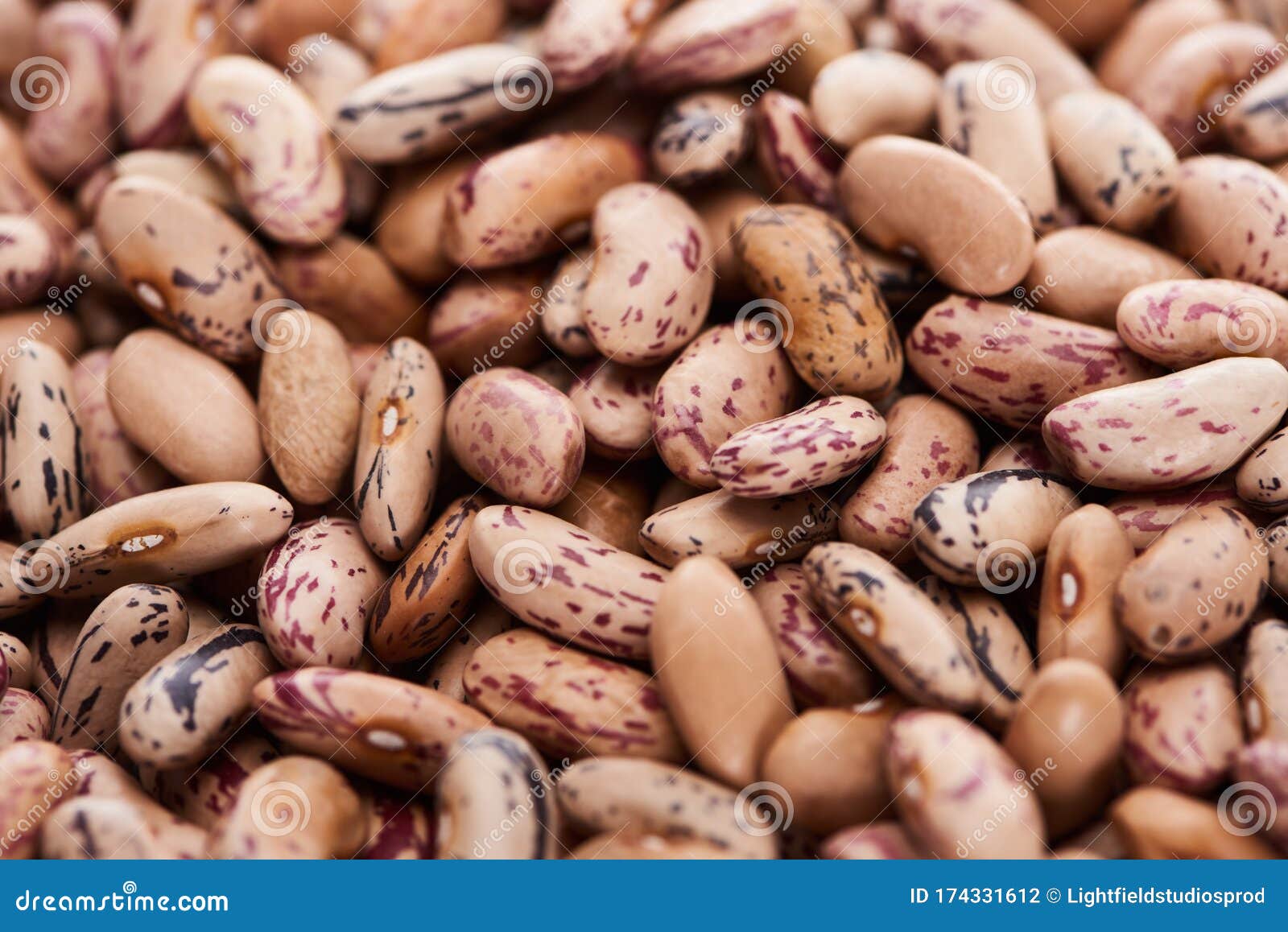 Close Up View of Uncooked Organic Pinto Beans. Stock Photo - Image of ...