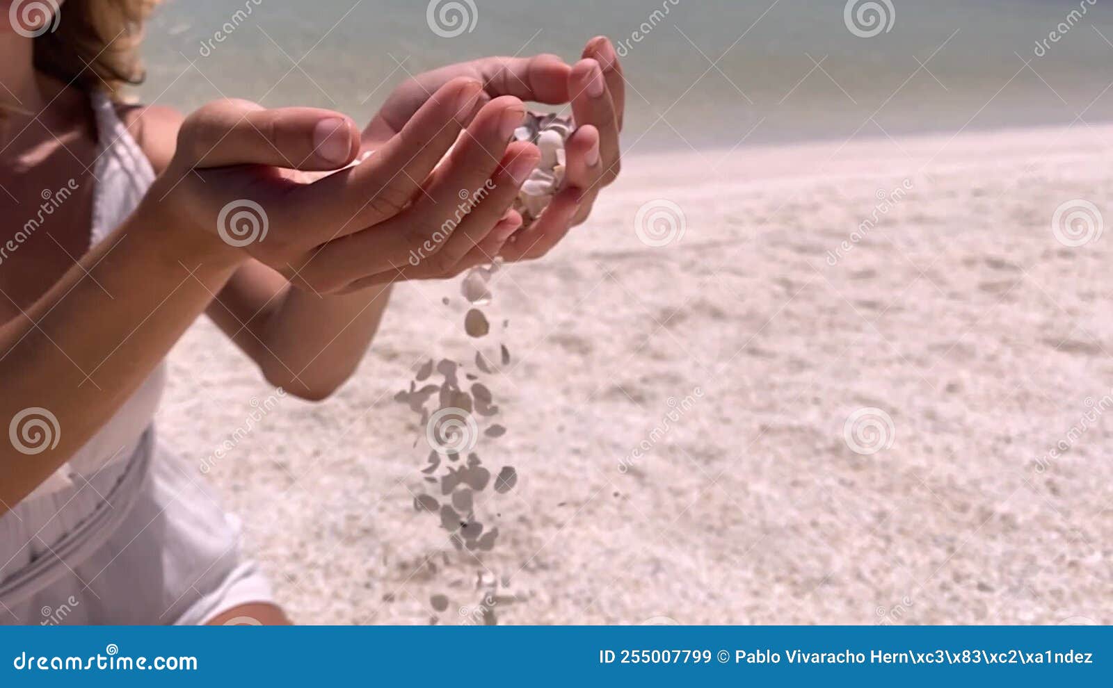 Close Up View of Unrecognizable Woman Hands with Shells in Shell Beach ...