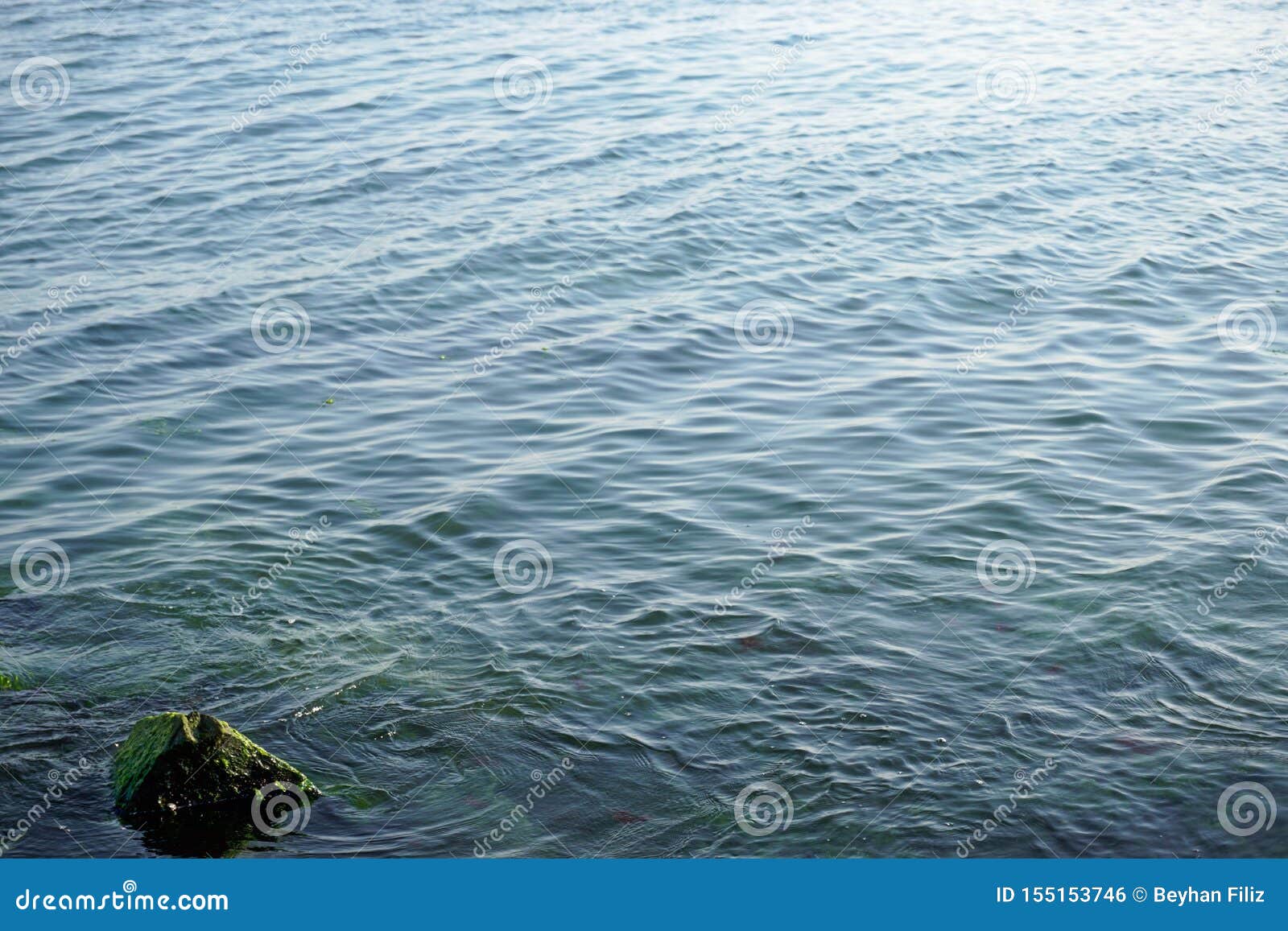 Close-up View of Water Ripples with Mossy Rock on Blue Sea Surface ...