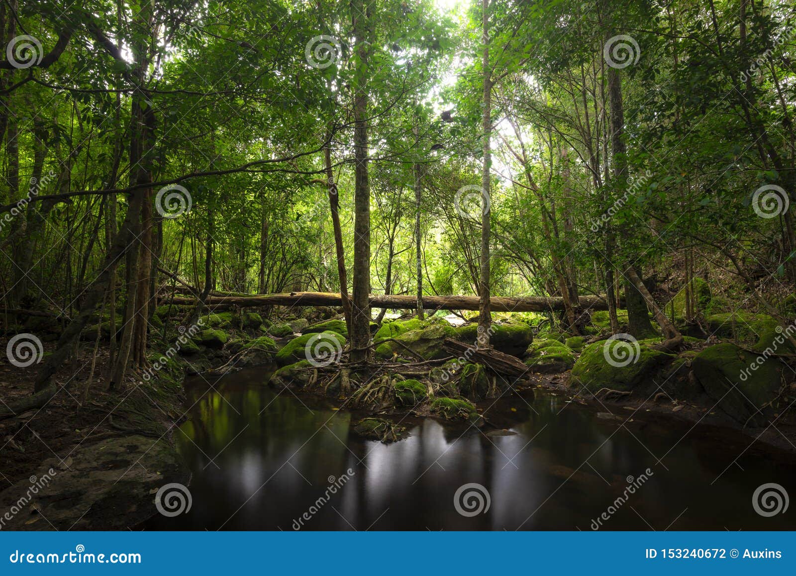 Close Up View Waterfall in Deep Forest at National Park, Waterfall ...