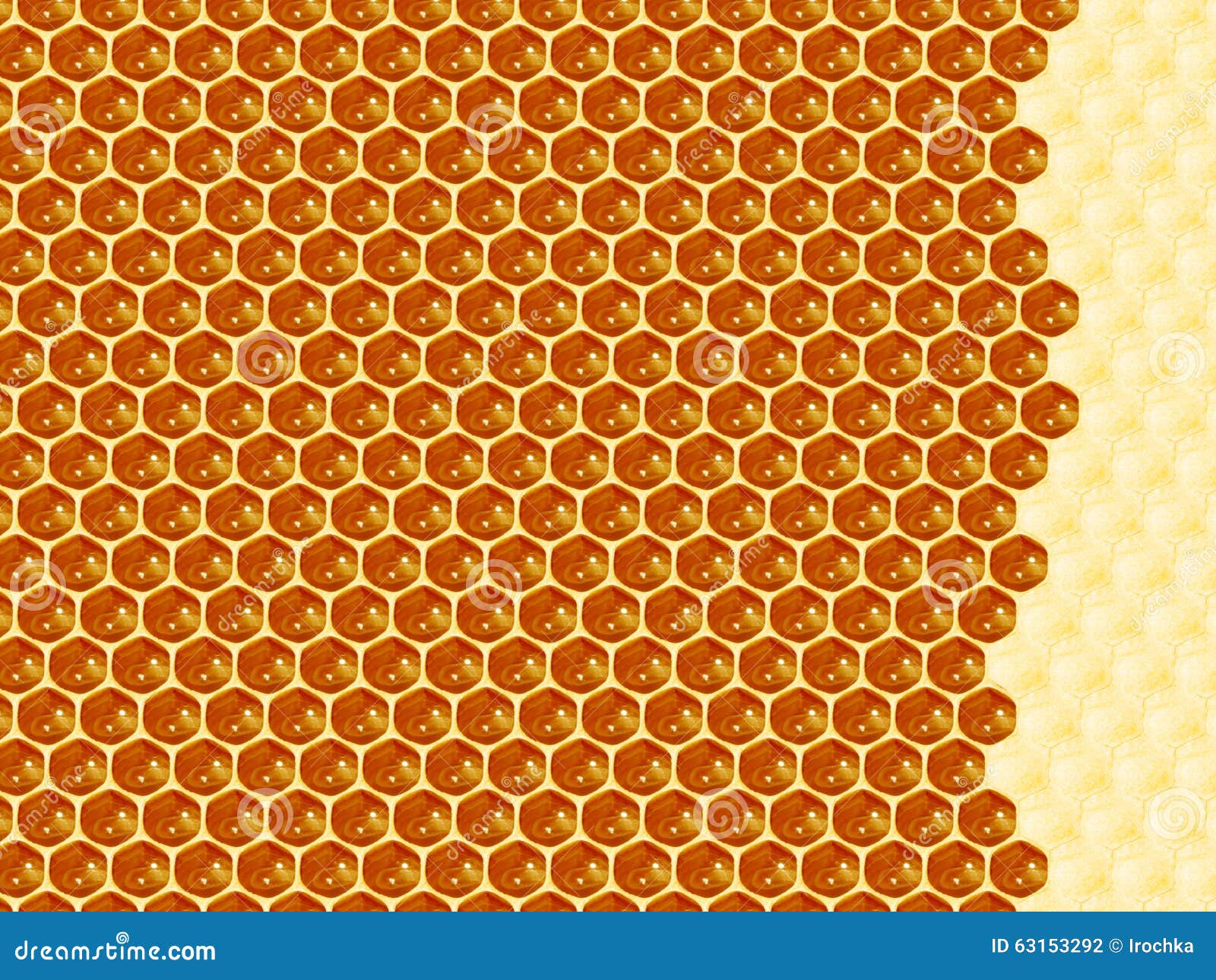 Close Up View of the Working Bees on Honey Cells Stock Photo - Image of ...