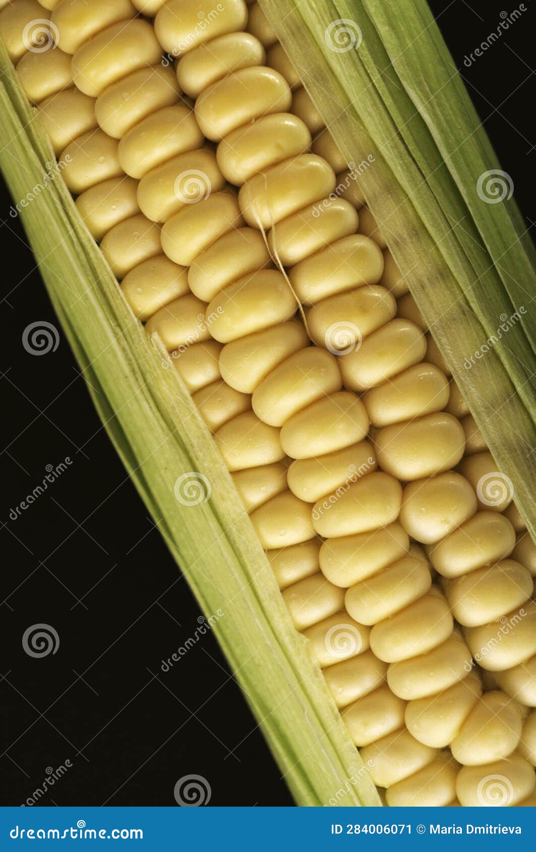 Close-up View of Yellow Maize (corn) Cob, Black Background. Stock Image ...
