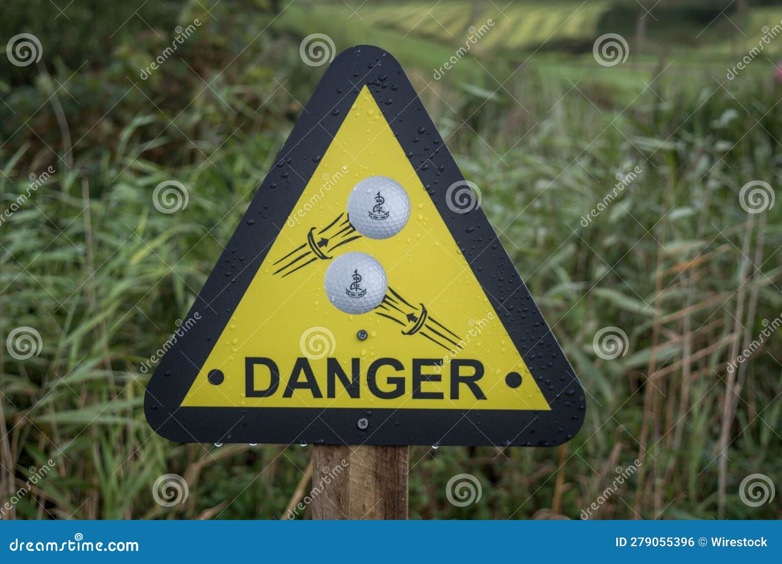 Close-up View of a Yellow Warning Sign on a Golf Course with Grass on ...
