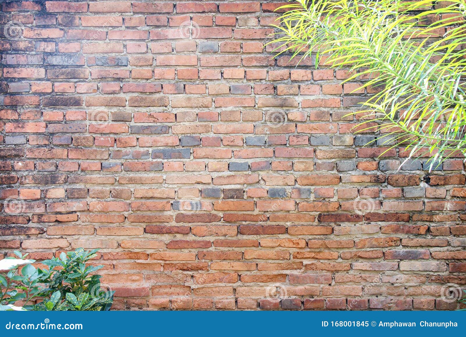 Vintage Brick Wall Texture in Horizontal Line Patterns with Green ...