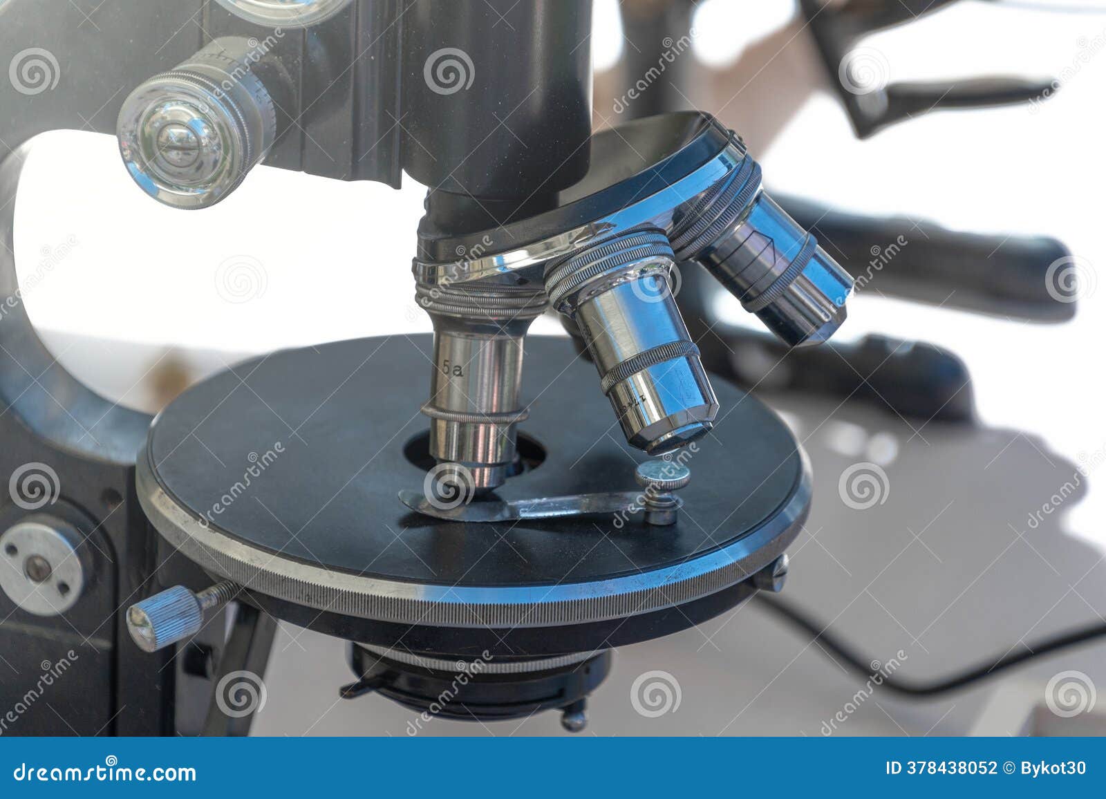 Optical Microscope Photograph Capturing Vibrant And Detailed Microbial ...
