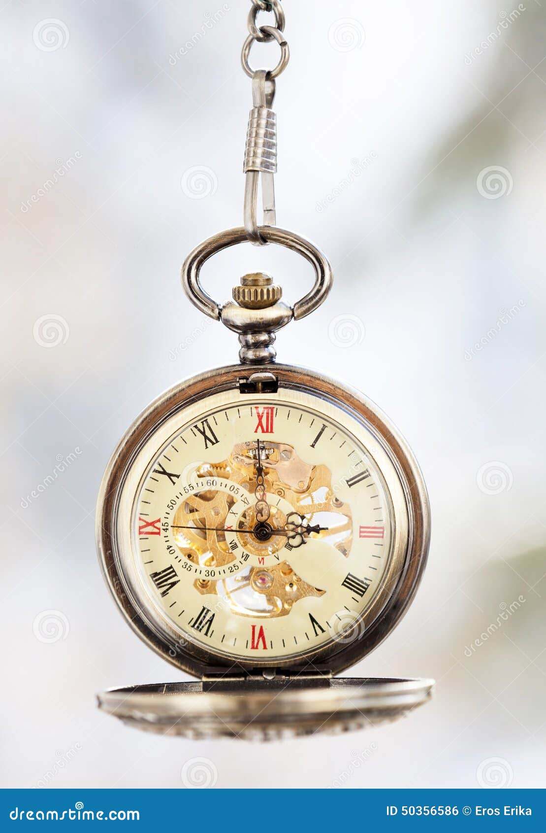 Close Up on Vintage Pocket Watch Stock Photo - Image of chrome, collect ...