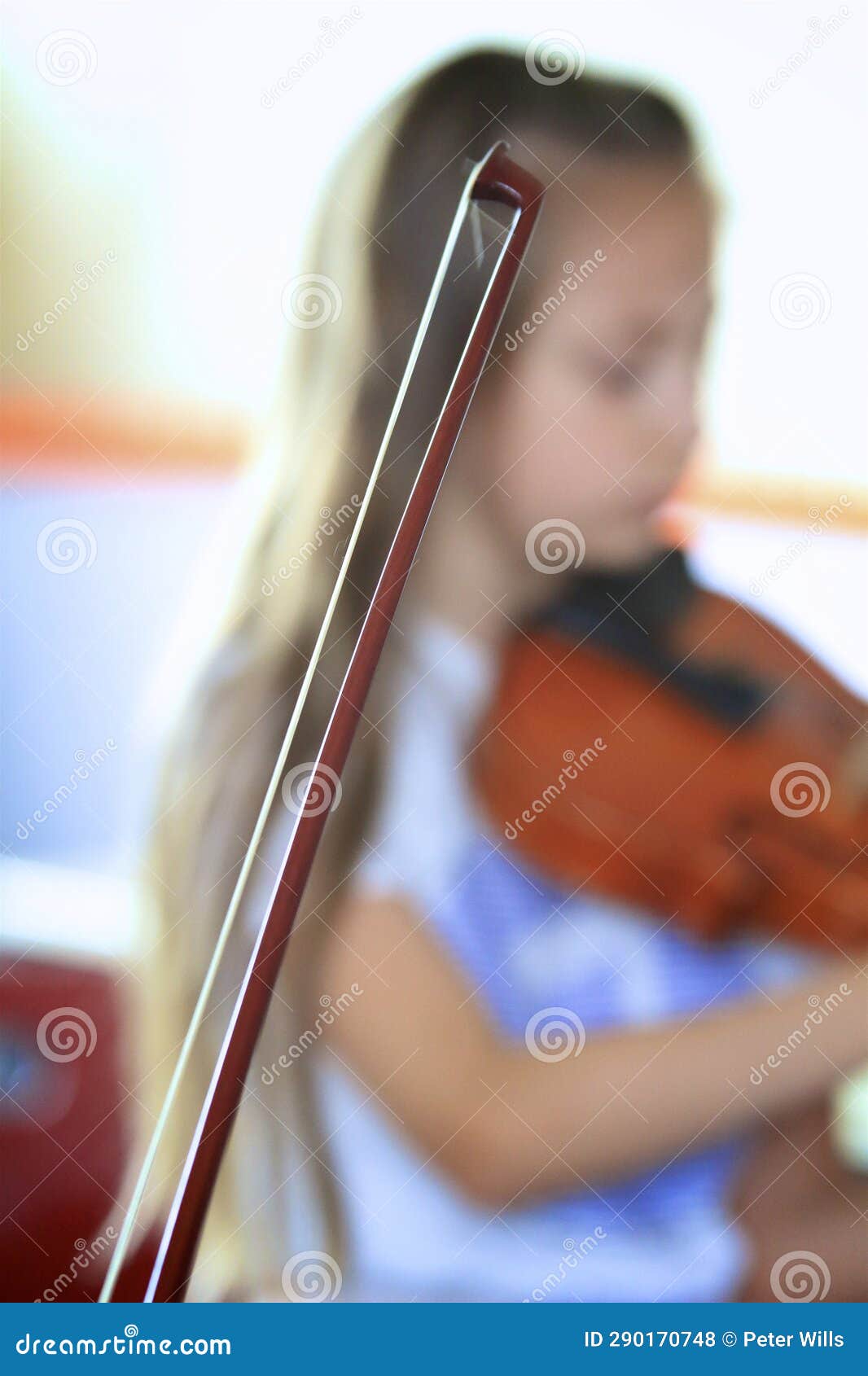 Close up of a violin bow stock photo. Image of background - 290170748