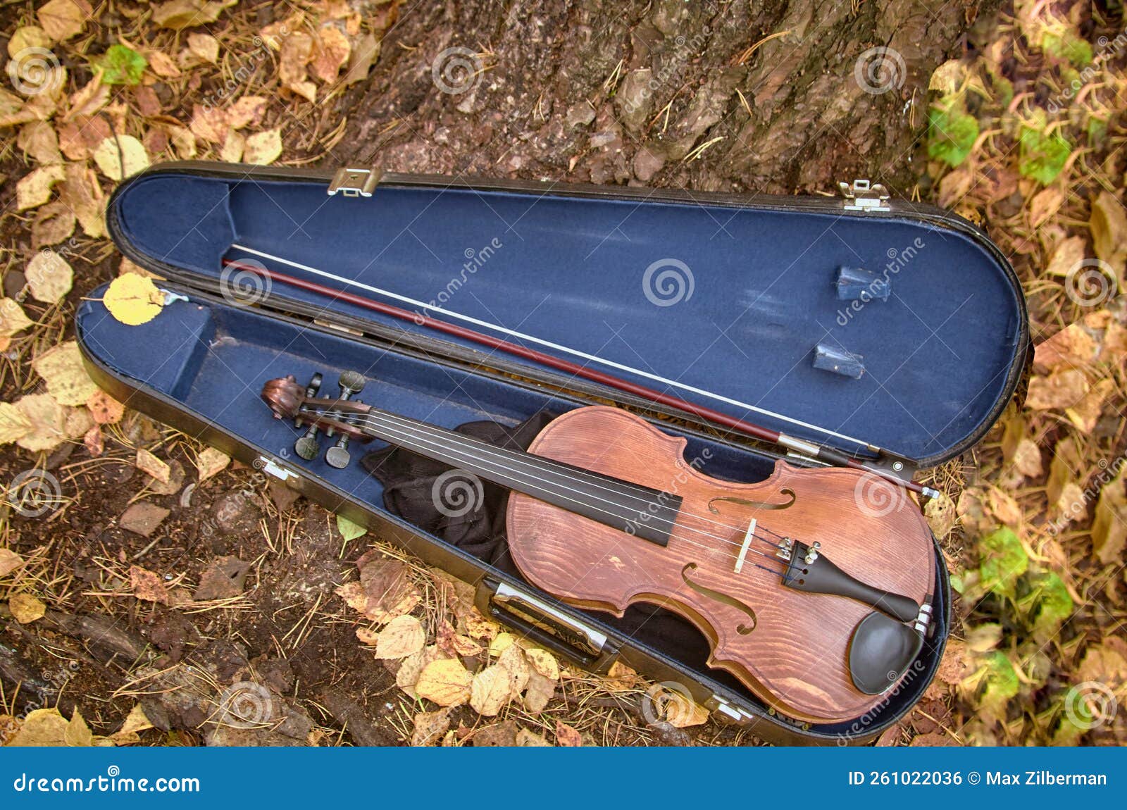 Close-up of a Violin in an Open Case Lying on Top of Autumn Leaves ...