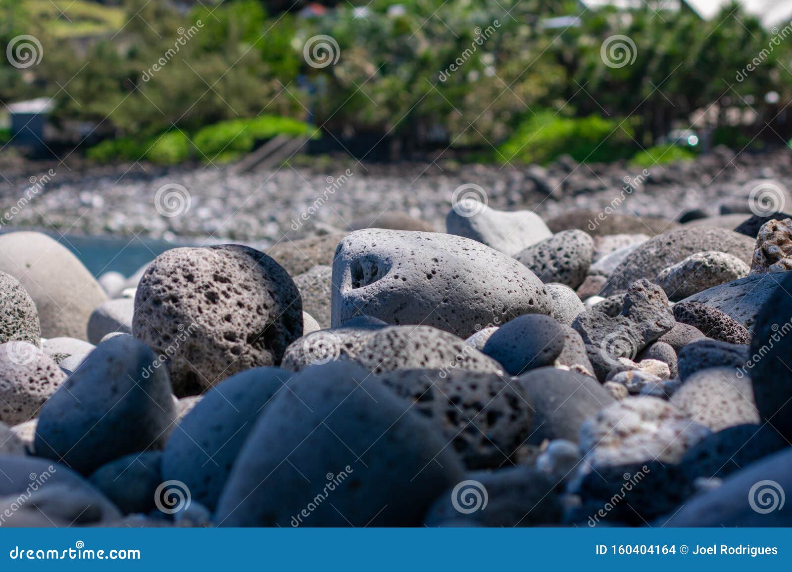Close-up of Volcanic Rock Pebble Beach on Sunny Day Stock Photo - Image ...