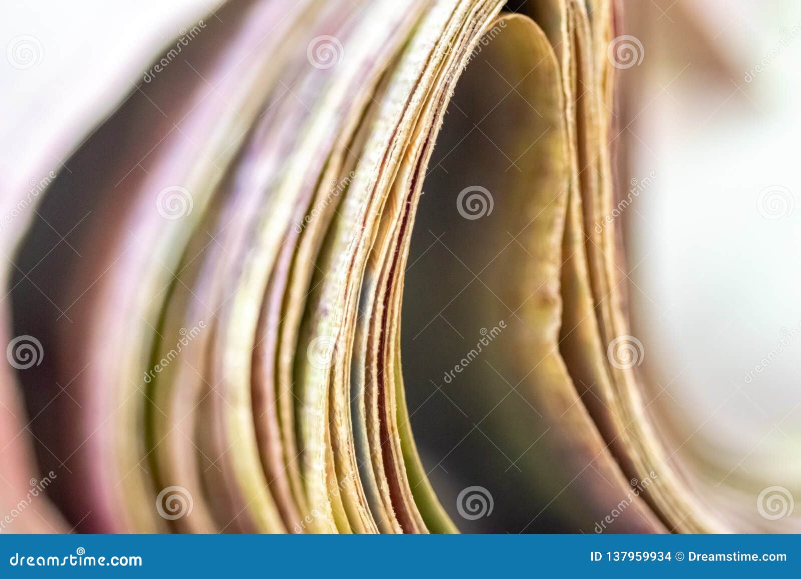 Close-up Wad of Twenty Pound Notes. Stock Photo - Image of greed, macro ...