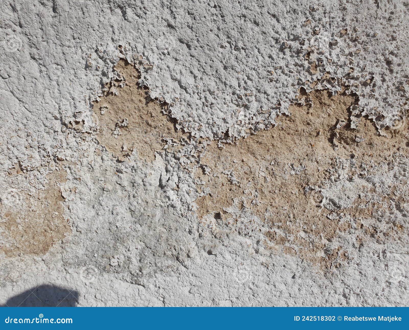 Wall with decaying paint stock photo. Image of abstract - 242518302