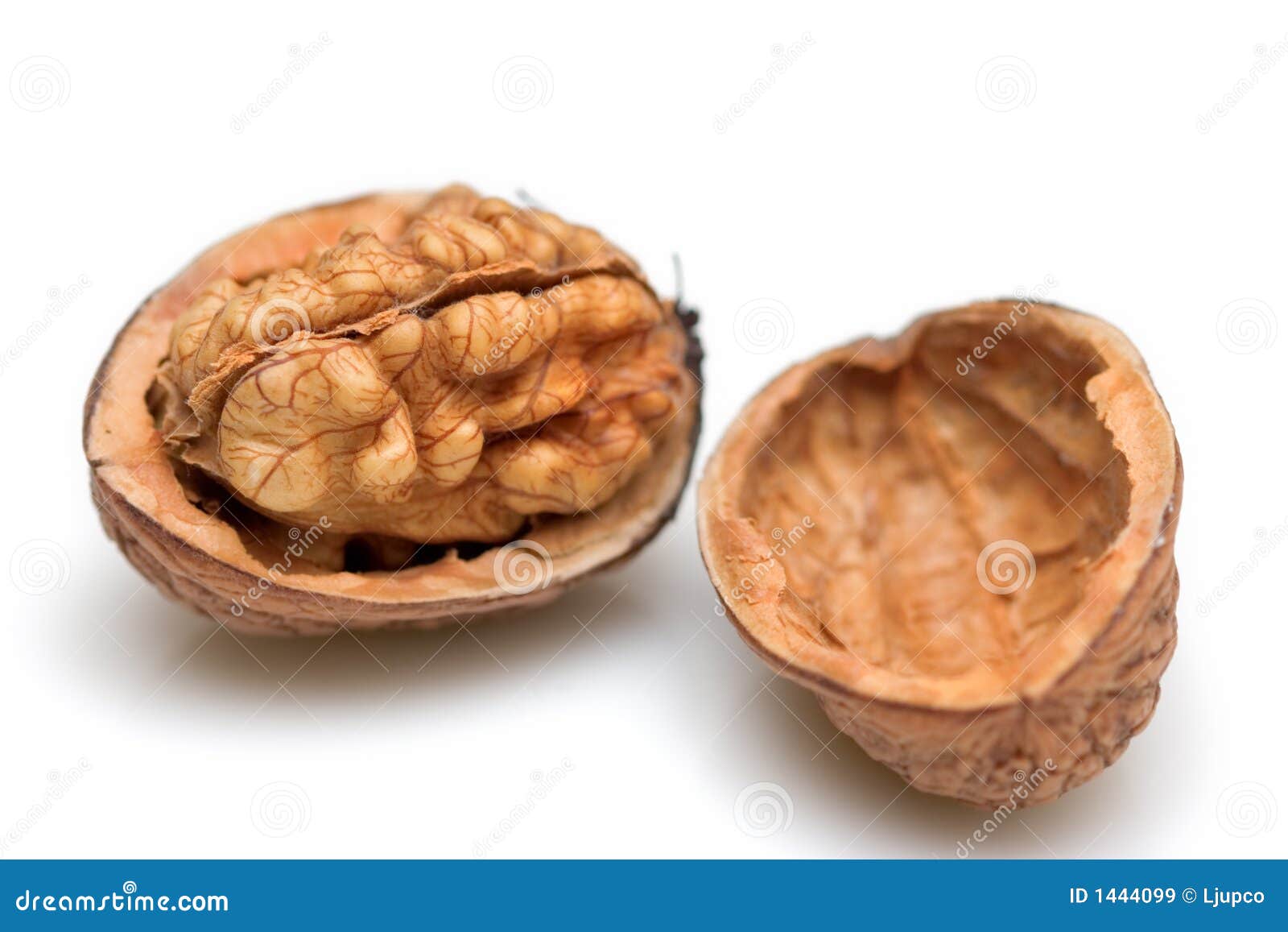 26,551 Walnut Up Close Photos - Free & Royalty-Free Stock Photos from ...