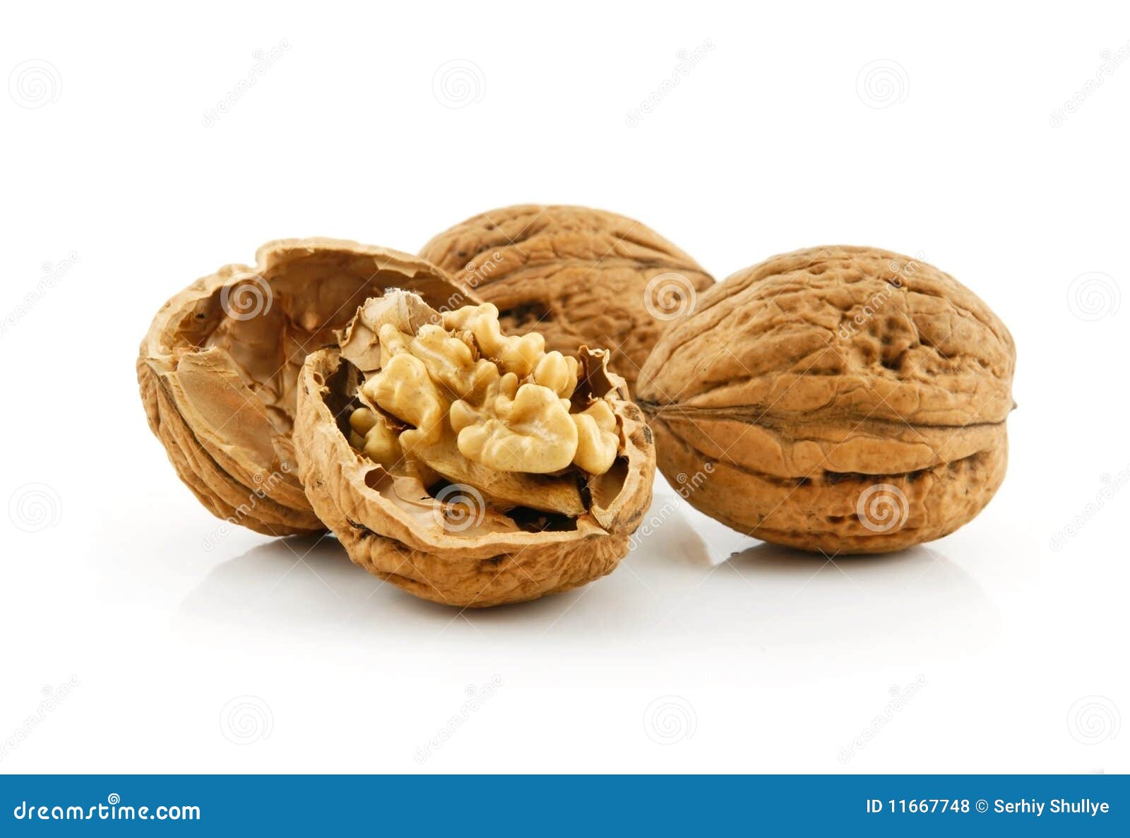 Close-up of a Walnut Fruits Isolated on White Stock Photo - Image of ...