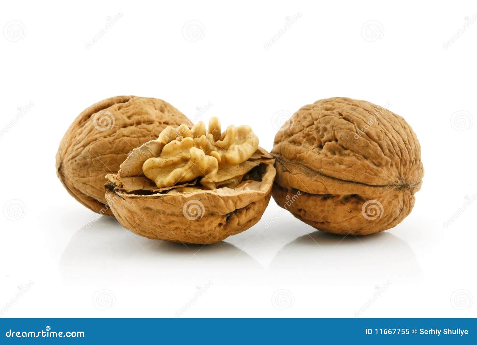 Close-up Of A Walnut Split Open Revealing Its Kernel Stock Image ...