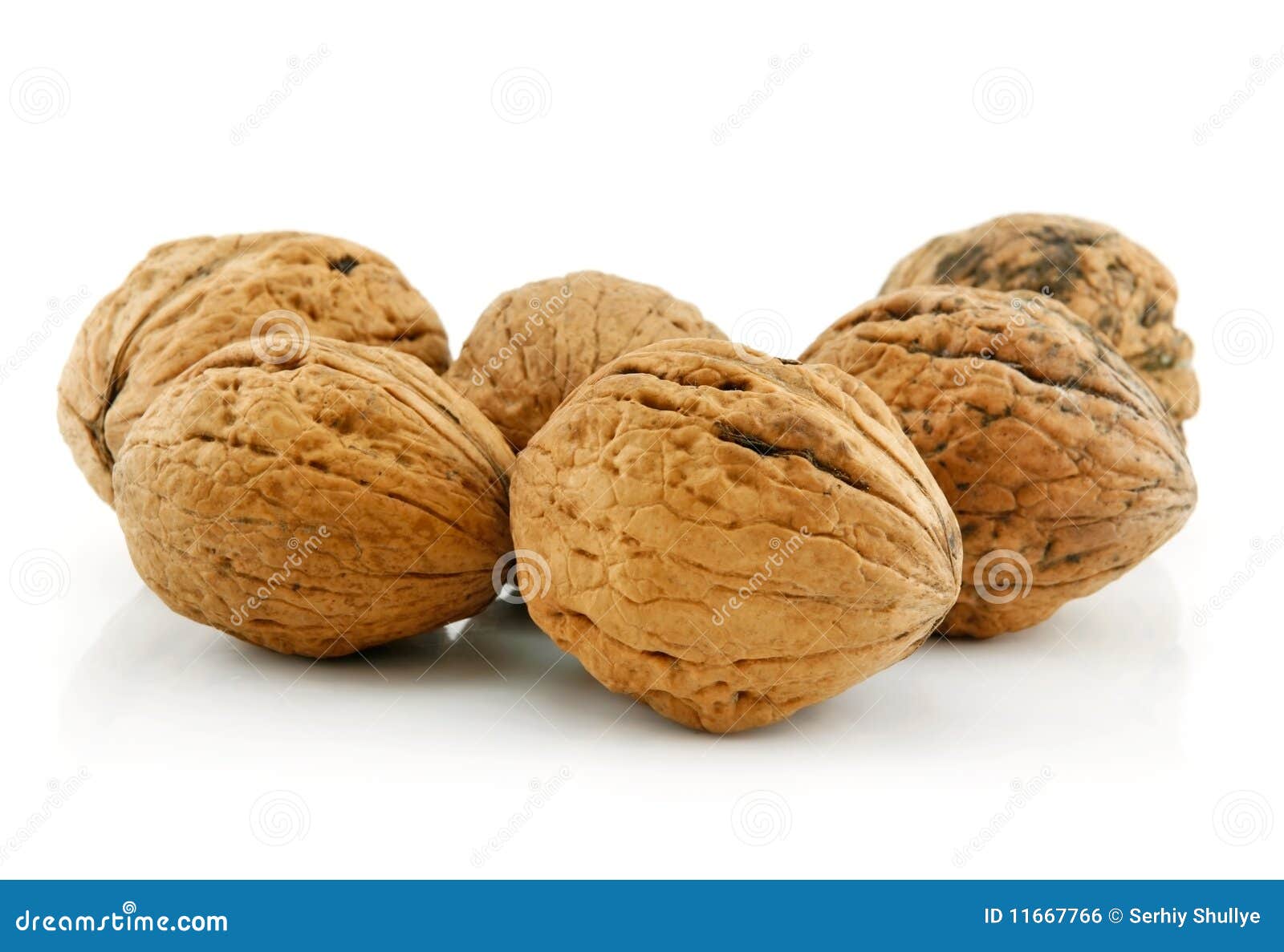 Close-up of a Walnut Fruits Isolated on White Stock Photo - Image of ...