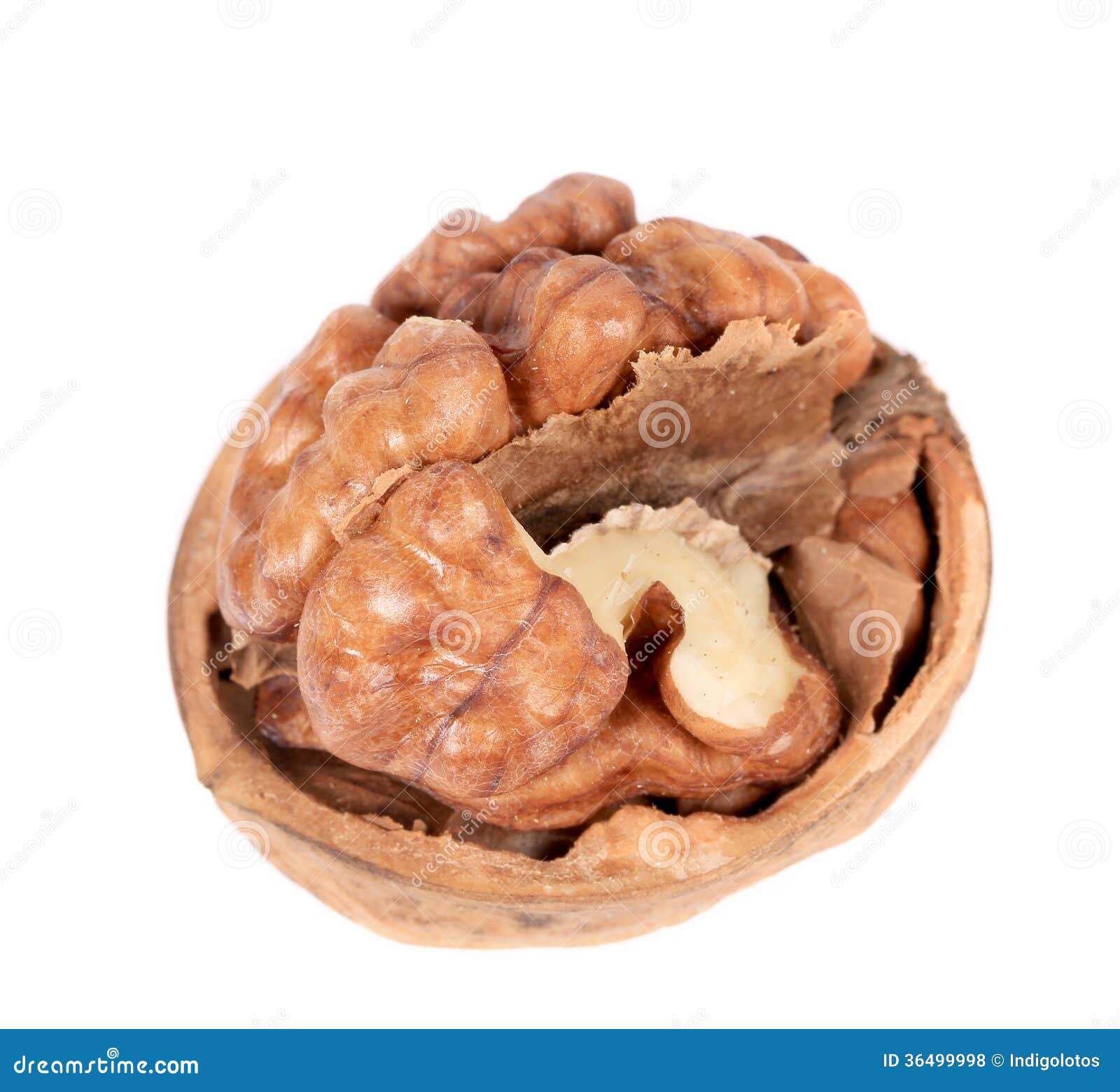 Close up of walnut. stock photo. Image of walnut, closeup - 36499998