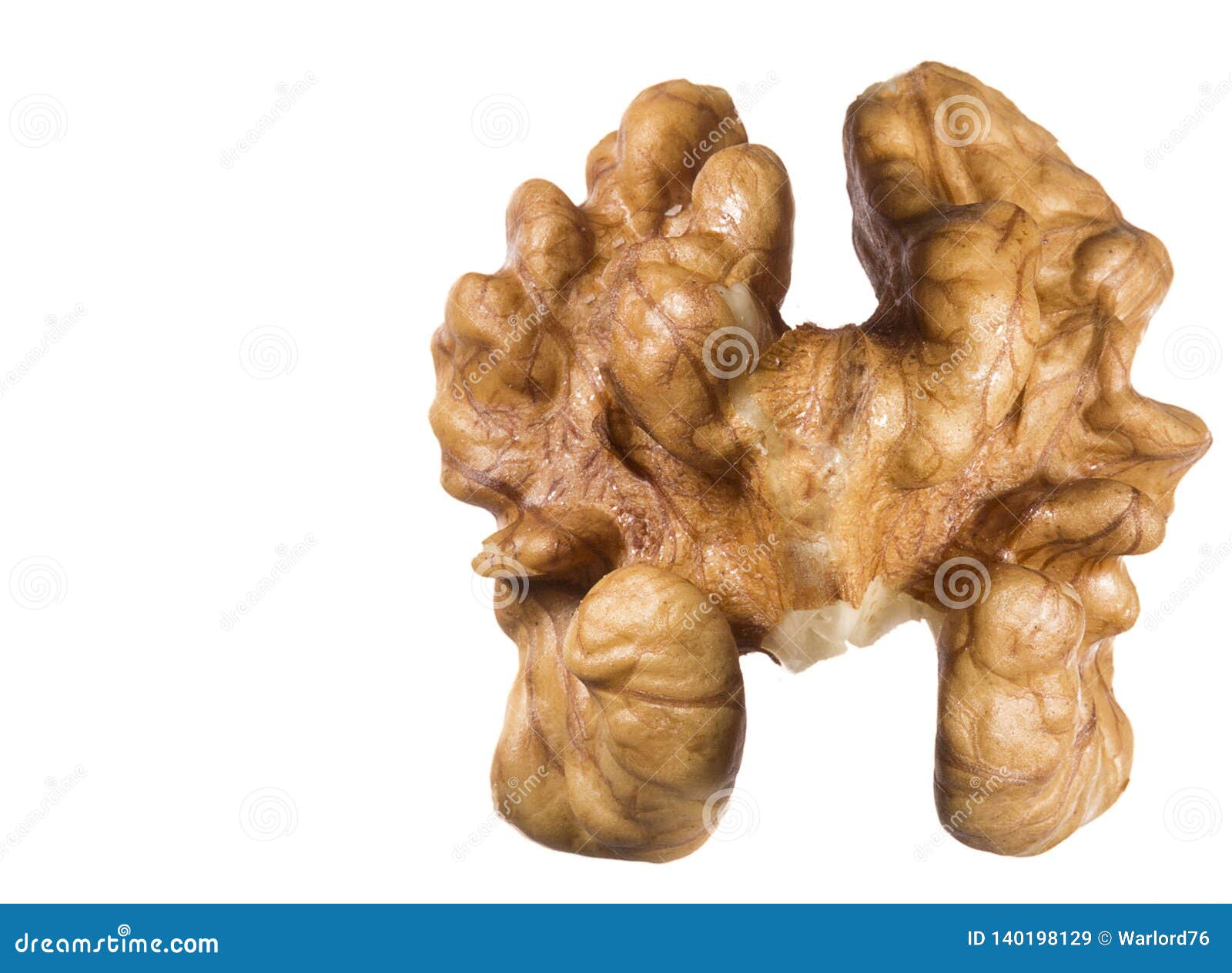 Close up of a walnut stock image. Image of diet, kernel - 140198129