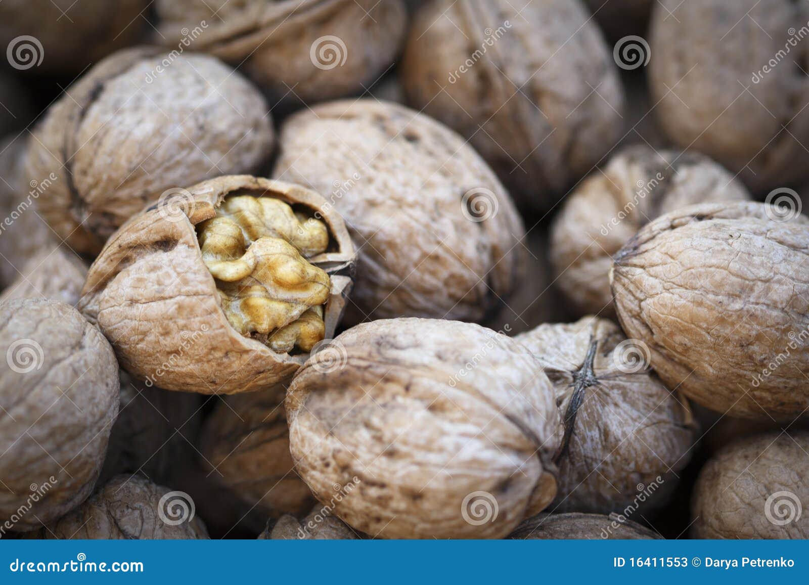 Close up walnuts stock image. Image of yellow, nature - 16411553