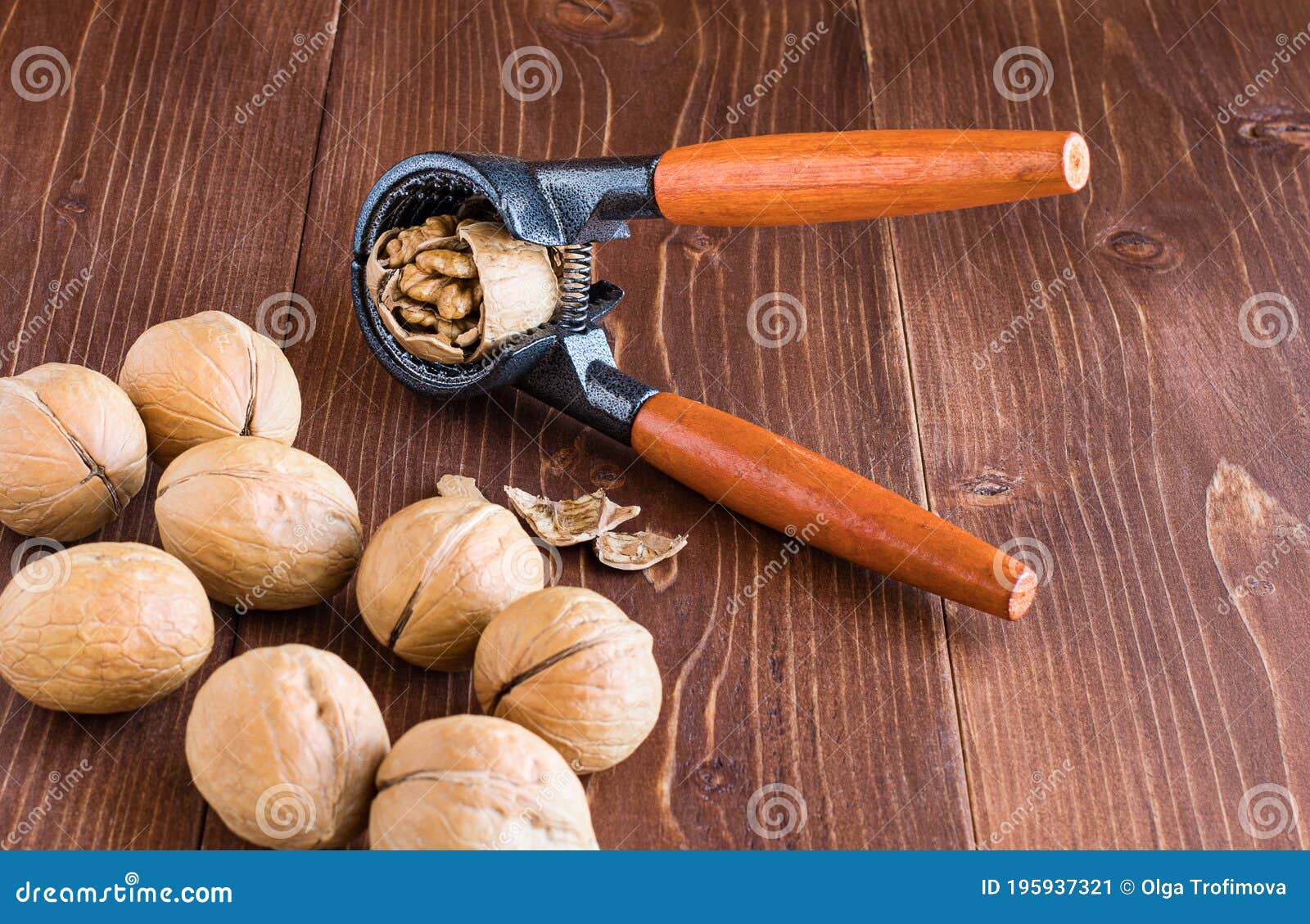 Close-up of Walnuts Cracking. Broken Walnut in the Nutcracker on a ...