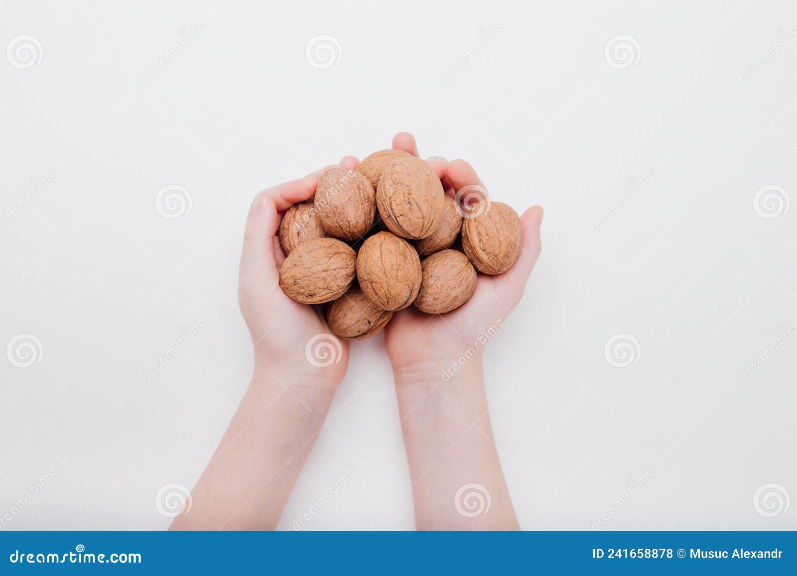 Close Up, Walnuts in the Hands of a Child Isolated on White Stock Photo ...