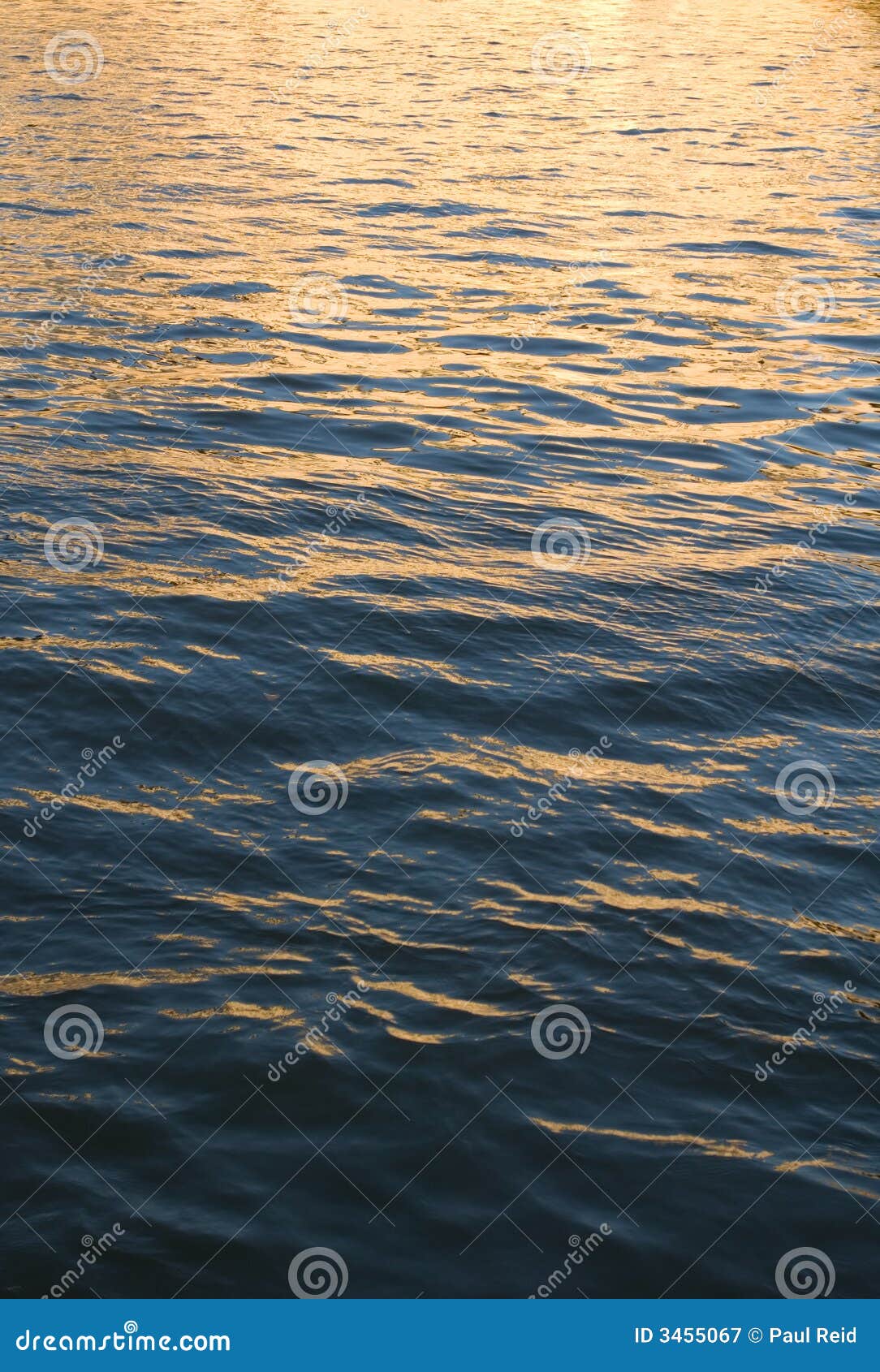 Close up of water stock image. Image of isolated, golden - 3455067