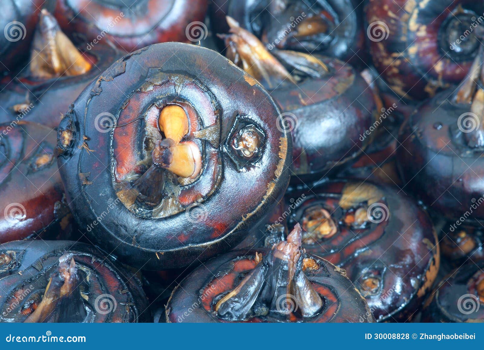 Water chestnut stock photo. Image of macro, aquatic, food - 30008828