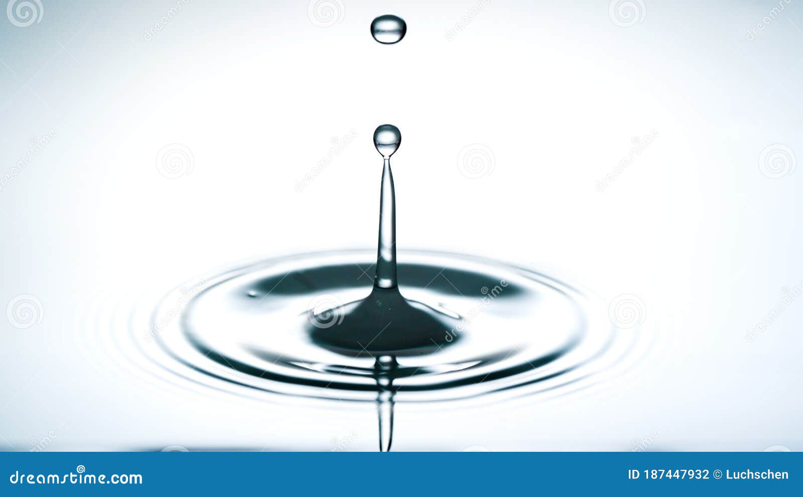 Close-up of a Water Drop Falling on Water Surface Stock Photo - Image ...