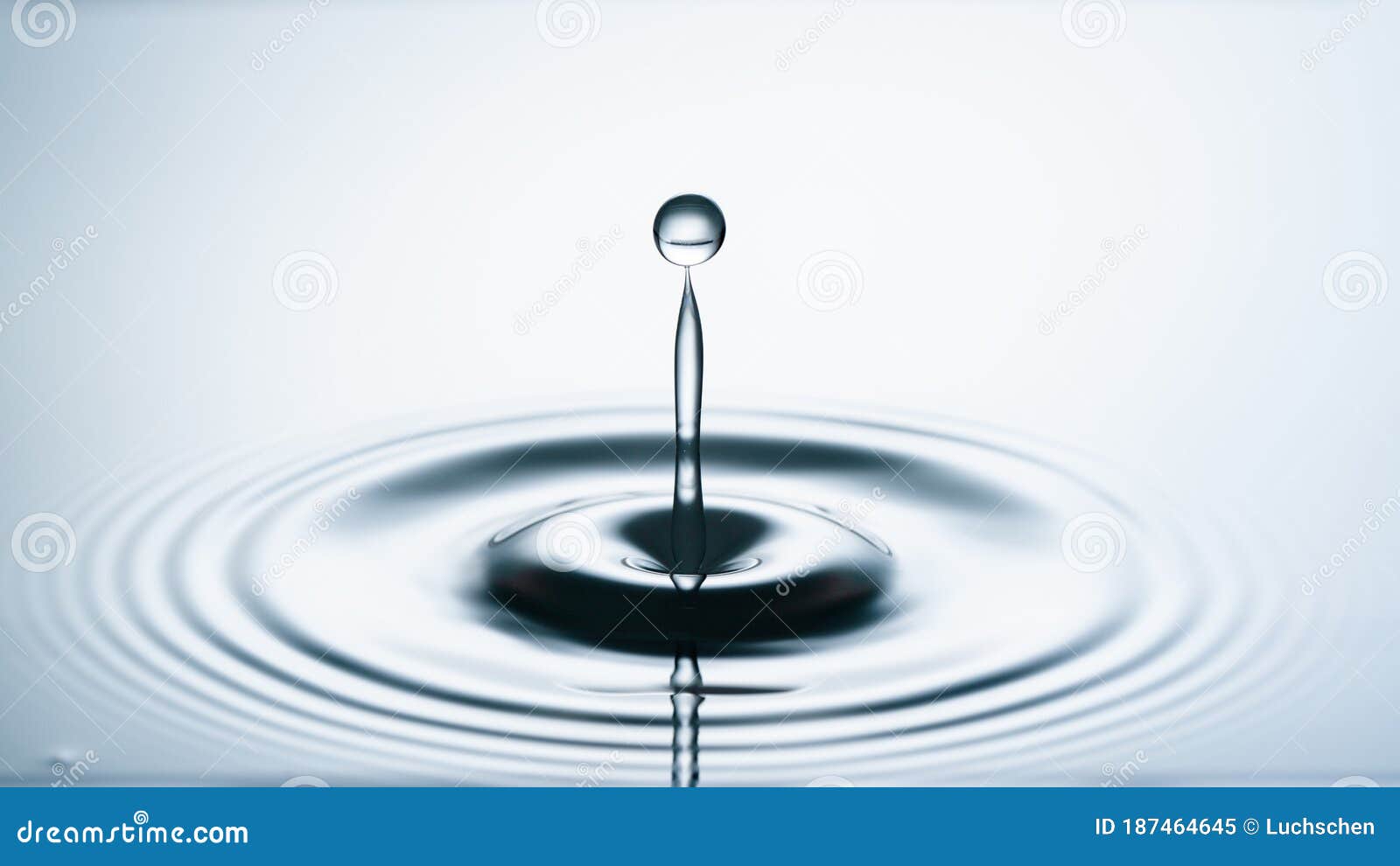 Close-up of a Water Drop Falling on Water Surface Stock Image - Image ...