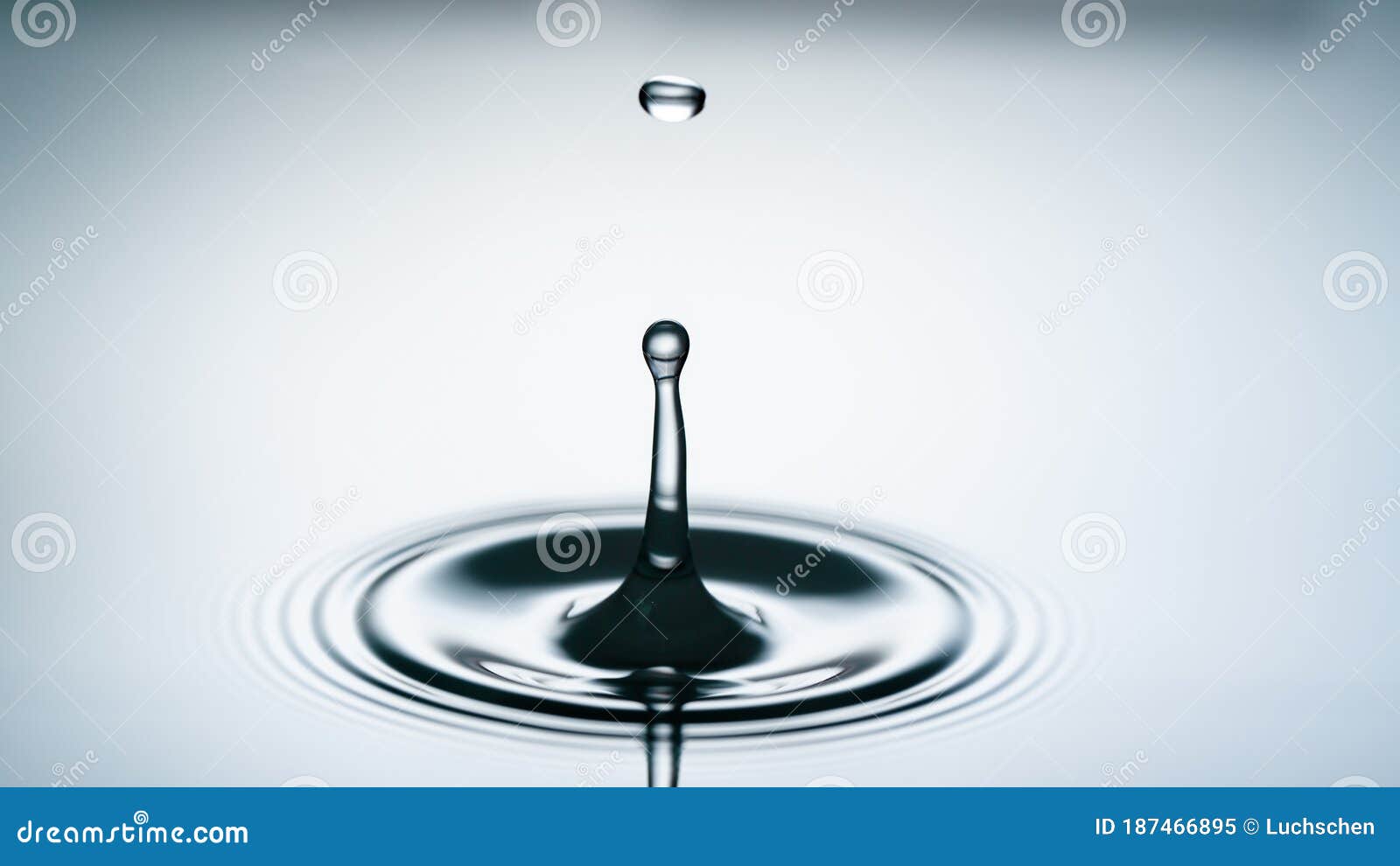 Close-up of a Water Drop Falling on Water Surface Stock Image - Image ...