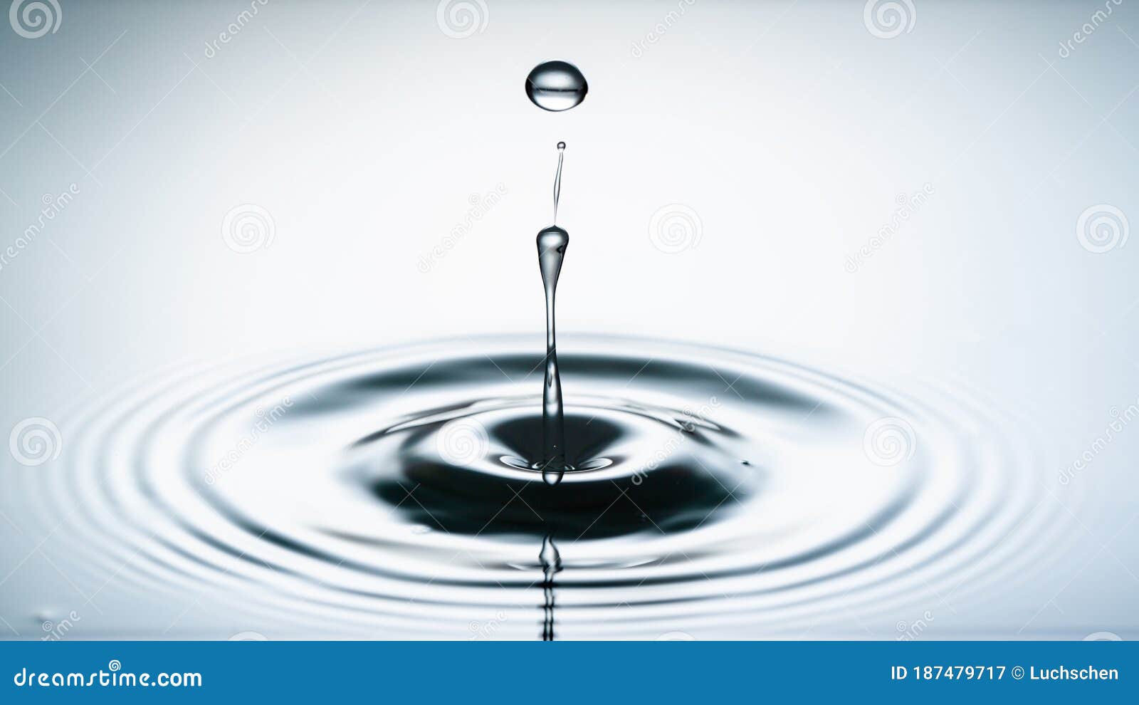 Close-up of a Water Drop Falling on Water Surface Stock Image - Image ...