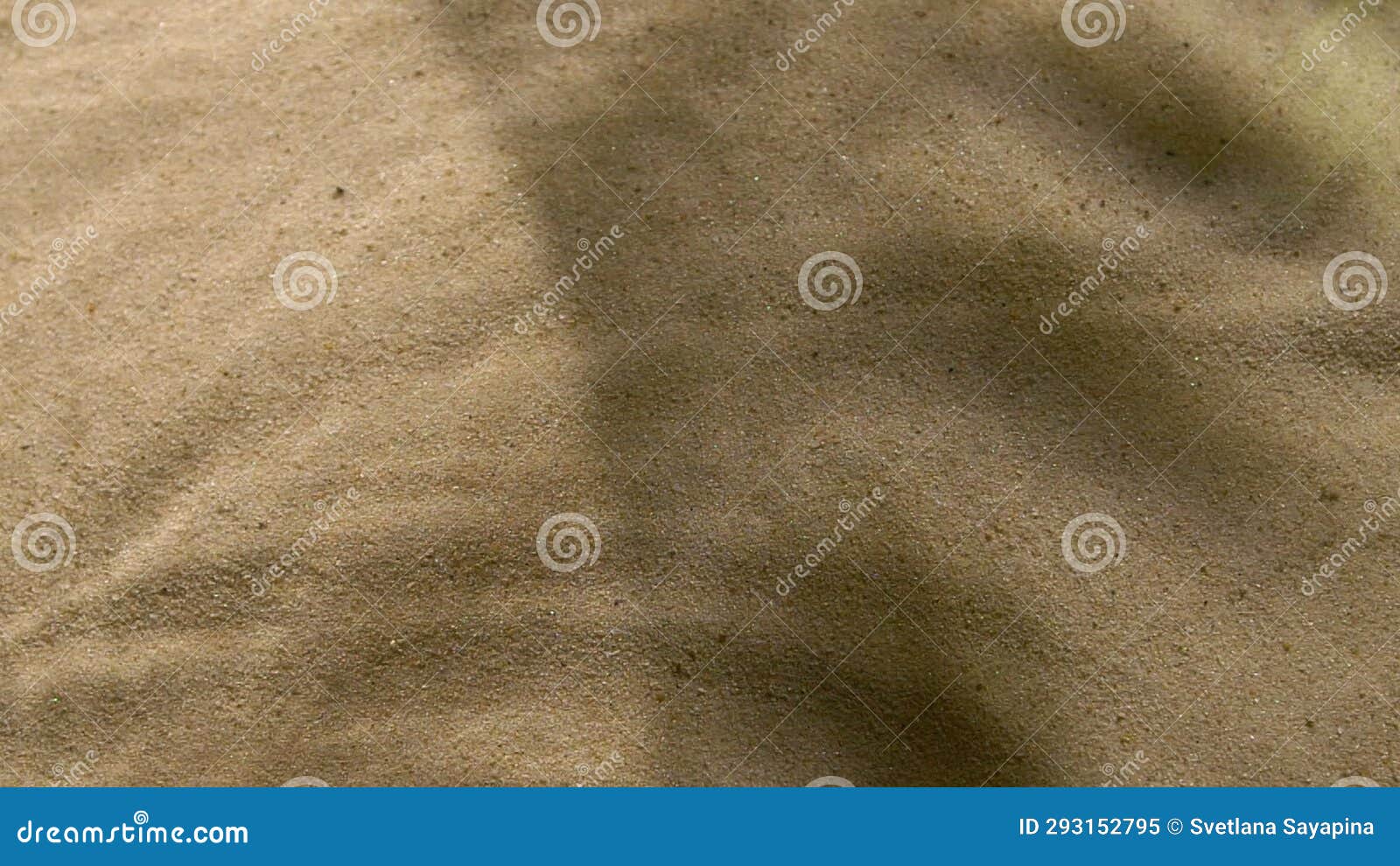 Close-up Water Surface Ripples and Splash, Palm Tree Leaf Shadow on ...