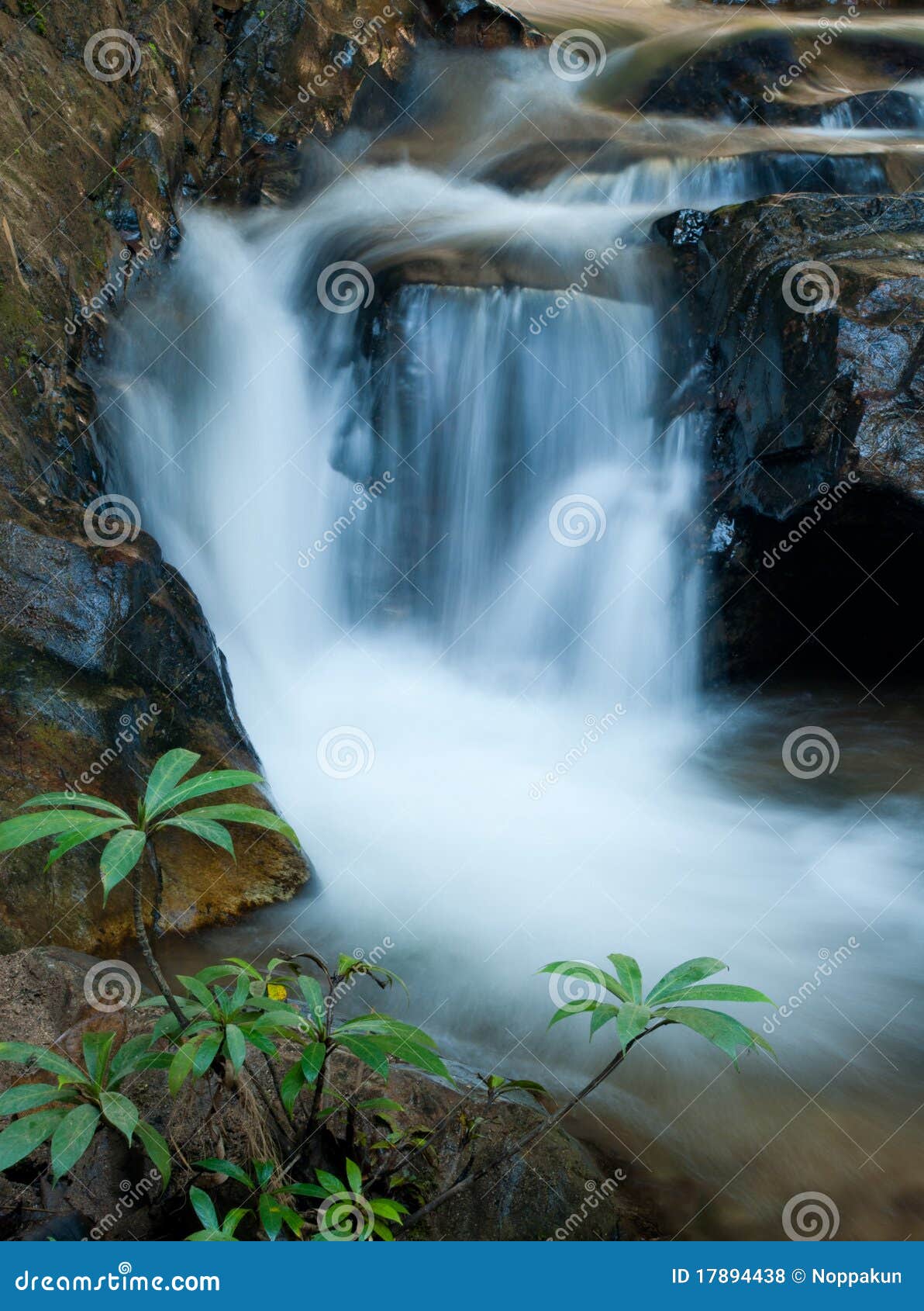 Close up Waterfall stock photo. Image of background, fresh - 17894438