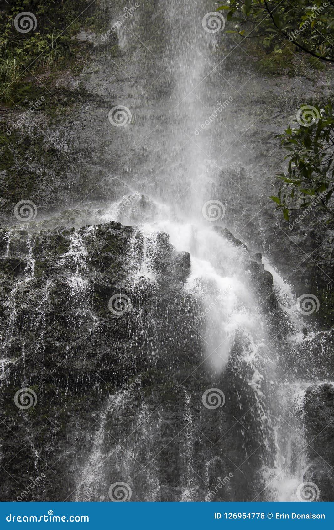 Close Up Waterfall Down Cliff in Jungle Stock Photo - Image of clean ...