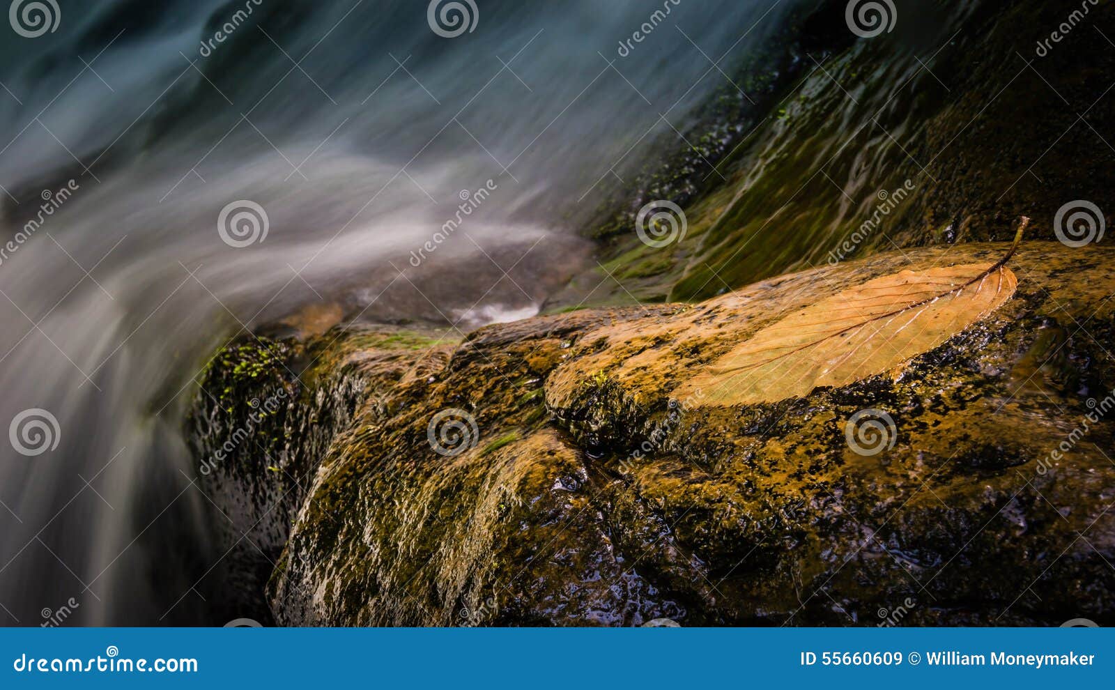 Close Up of Waterfall with Leaf and Rock Stock Image - Image of daytime ...