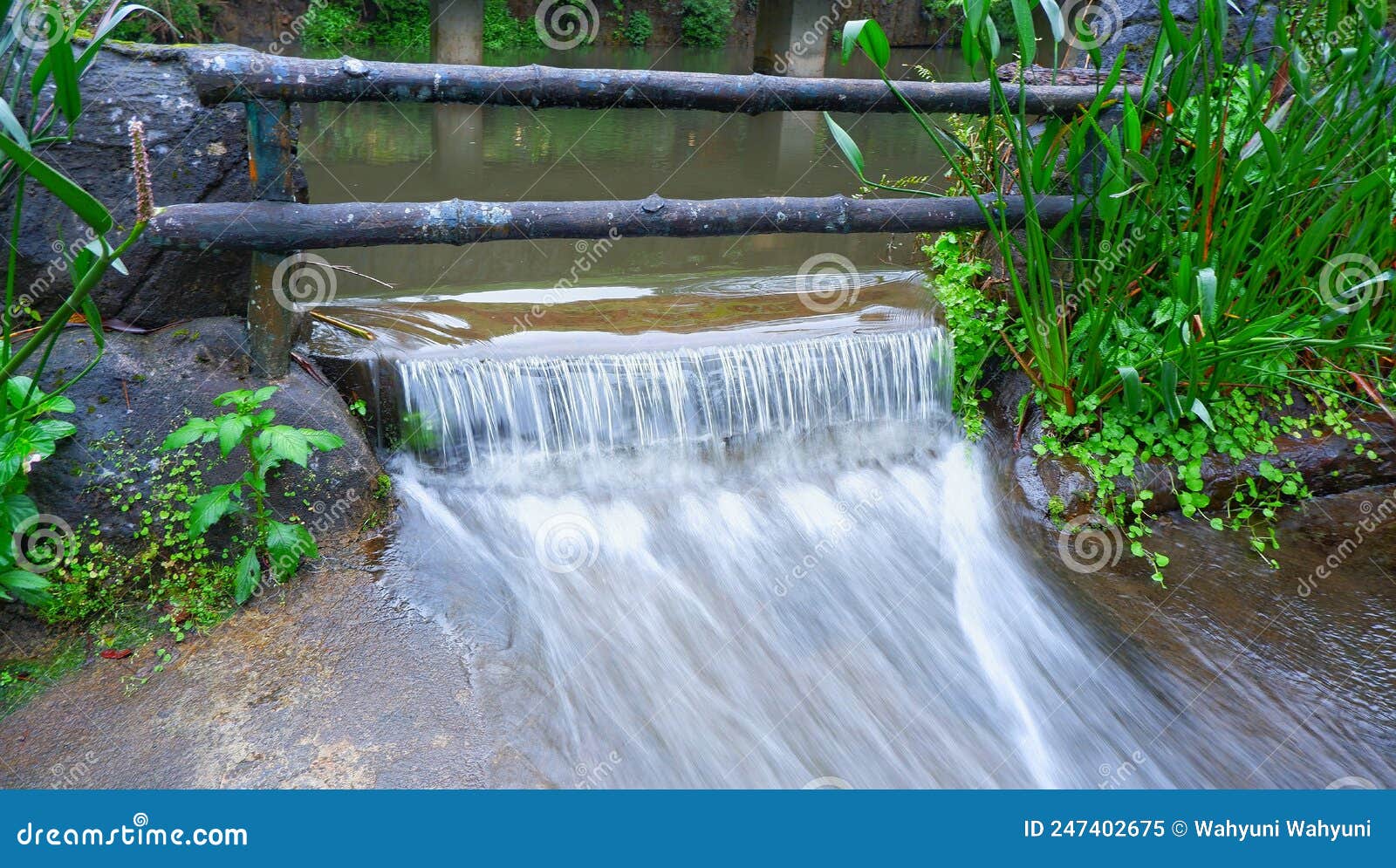 Close Up of Waterfall Mini River Stream Stock Image - Image of plant ...