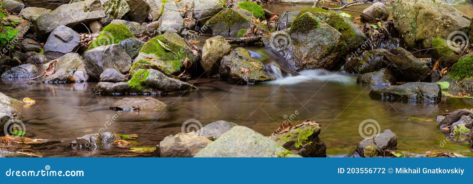 Close-up of the Waterfall Movement. the Stream of Water Flows Around ...