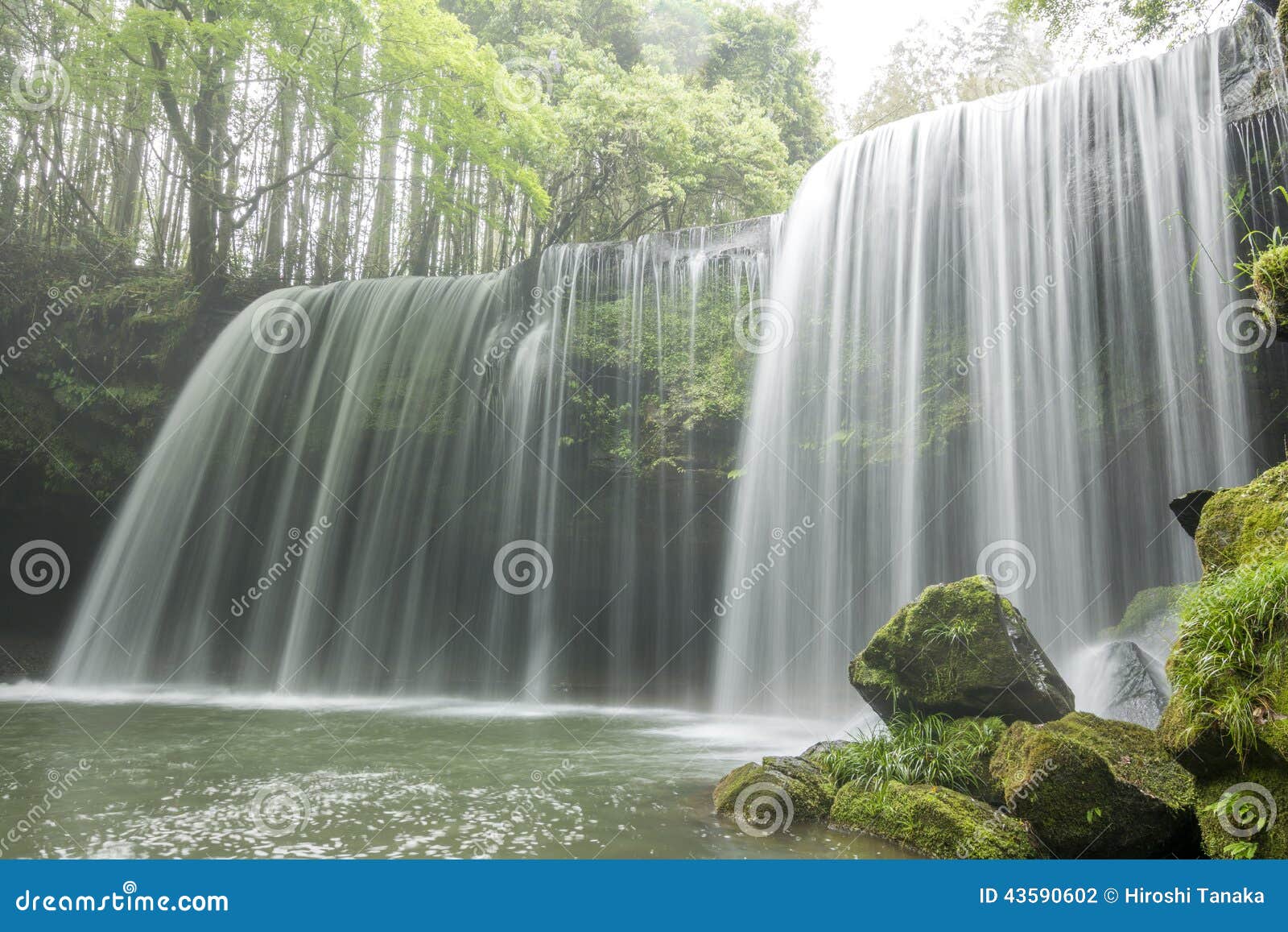 Close up waterfall stock photo. Image of nature, primeval - 43590602