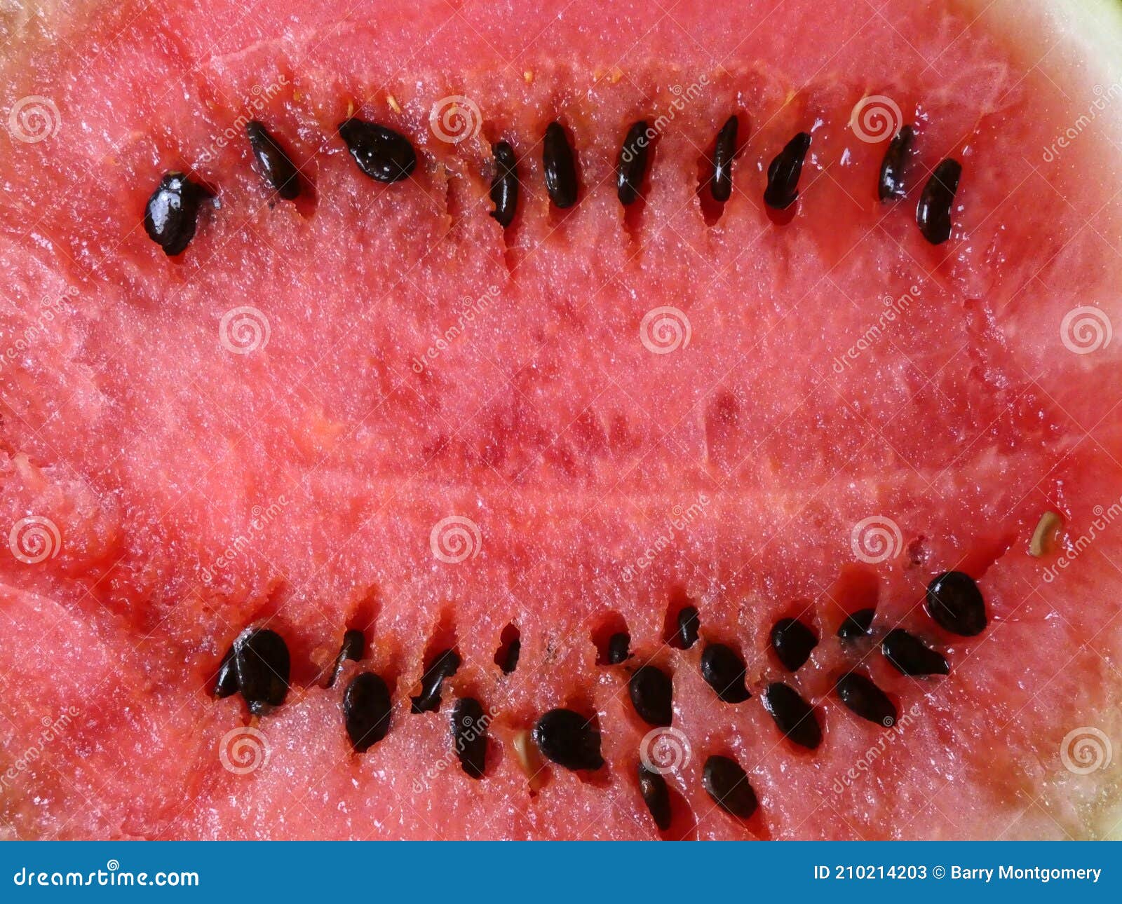 Close Up of Watermelon Cut in Half Stock Image - Image of fresh, zoomed ...
