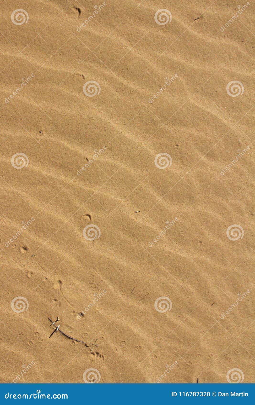 Close Up of Wave Patterns on the Sand Stock Photo - Image of coastline ...