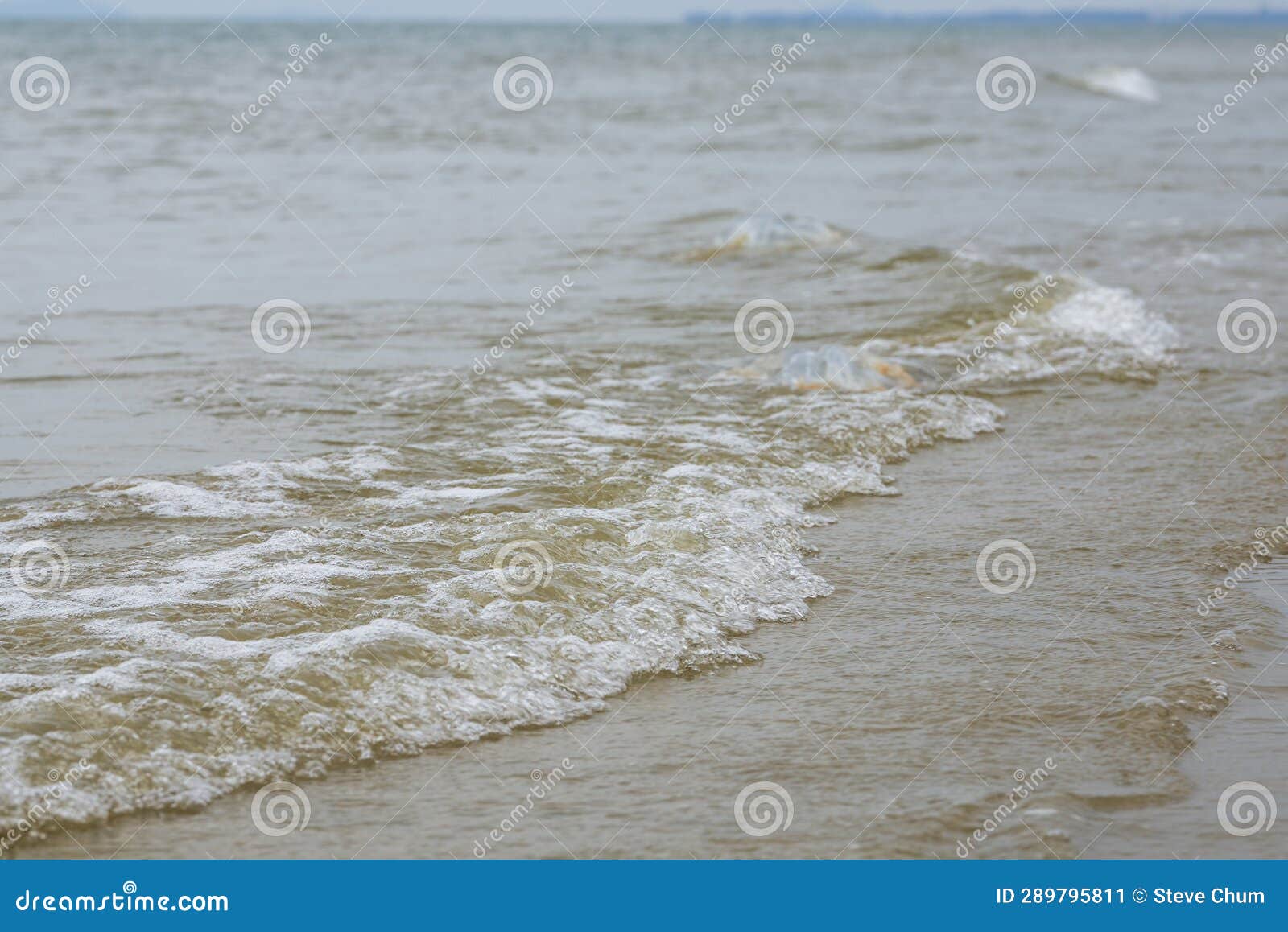 Close-up of Waves Coming from the Sea Stock Image - Image of beach ...