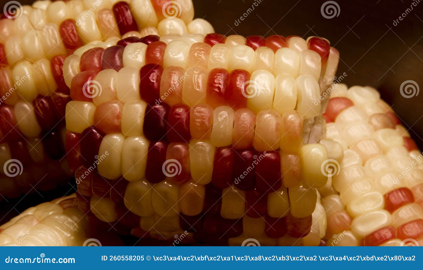Healthy and Colorful Vegetable : Waxy Corns Stock Image - Image of ...
