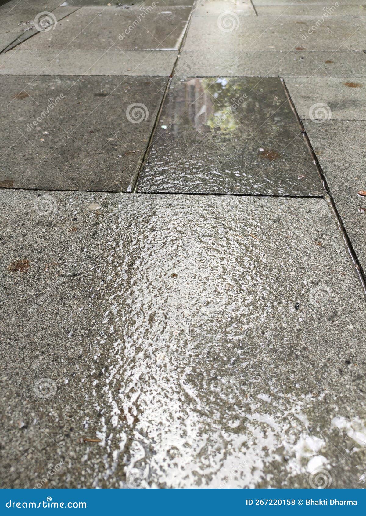 Close Up of Wet Floor after Rain. Stock Photo - Image of street, gray ...