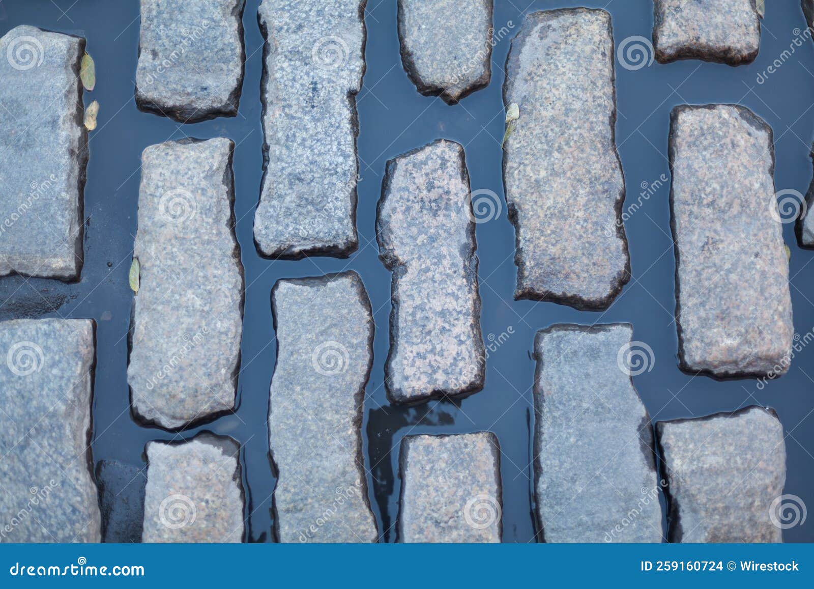 Close Up of Wet Granite Setts Stock Photo - Image of architecture, path ...