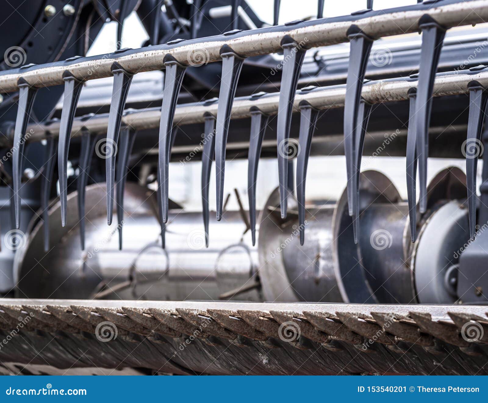Close Up of a Wheat Combine Header Assembly Stock Image - Image of ...