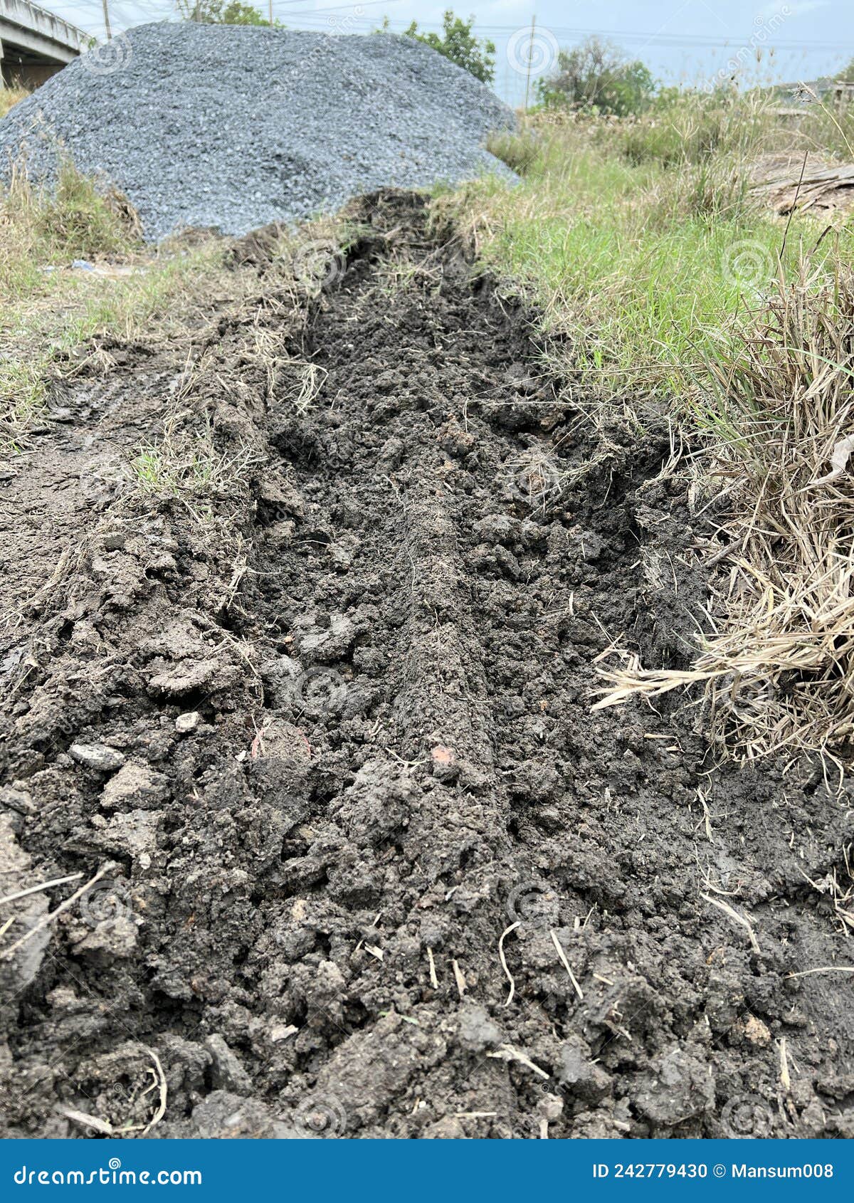 Wheel track on the ground stock photo. Image of organic - 242779430