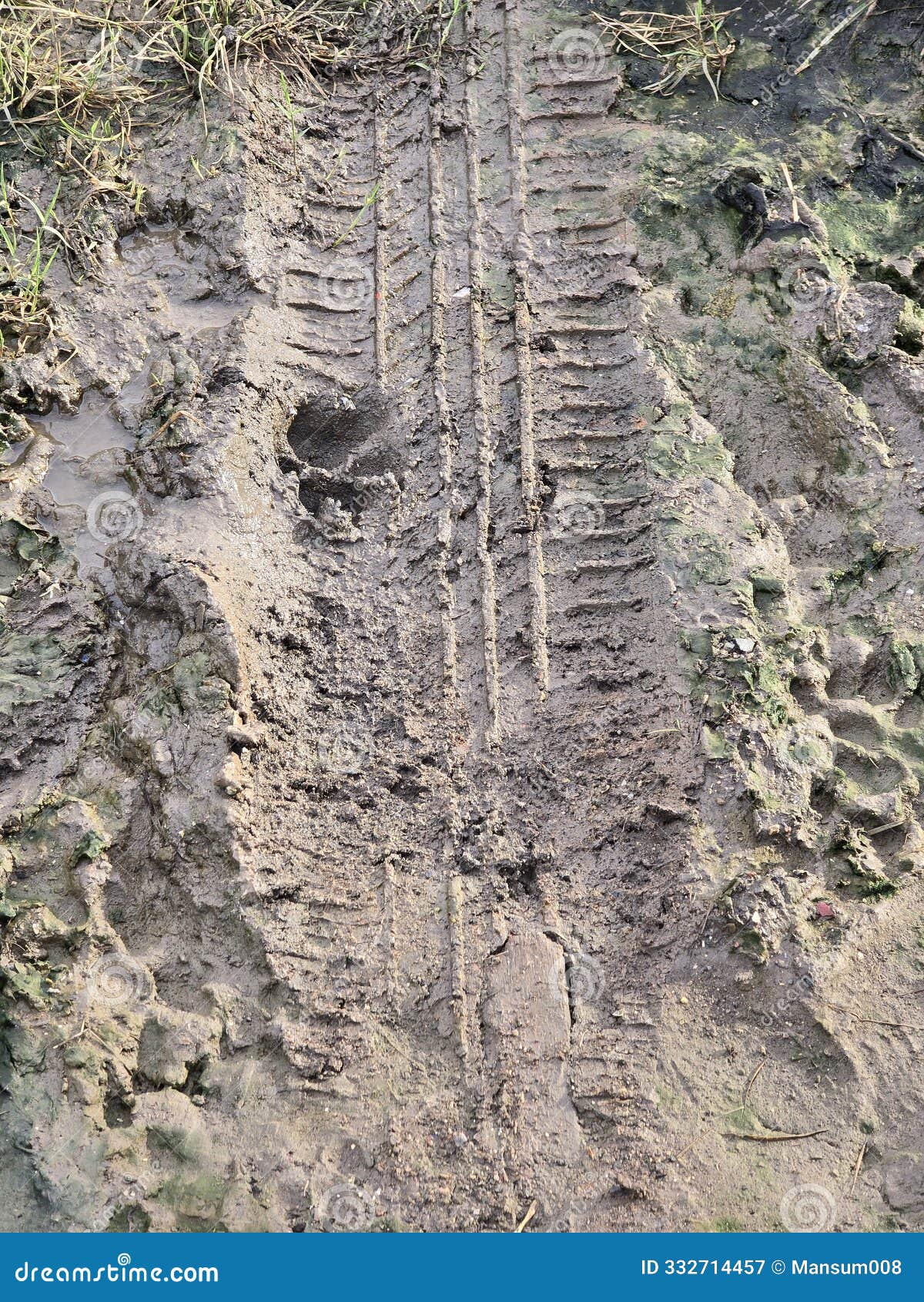 Wheel track mud after rain stock image. Image of land - 332714457
