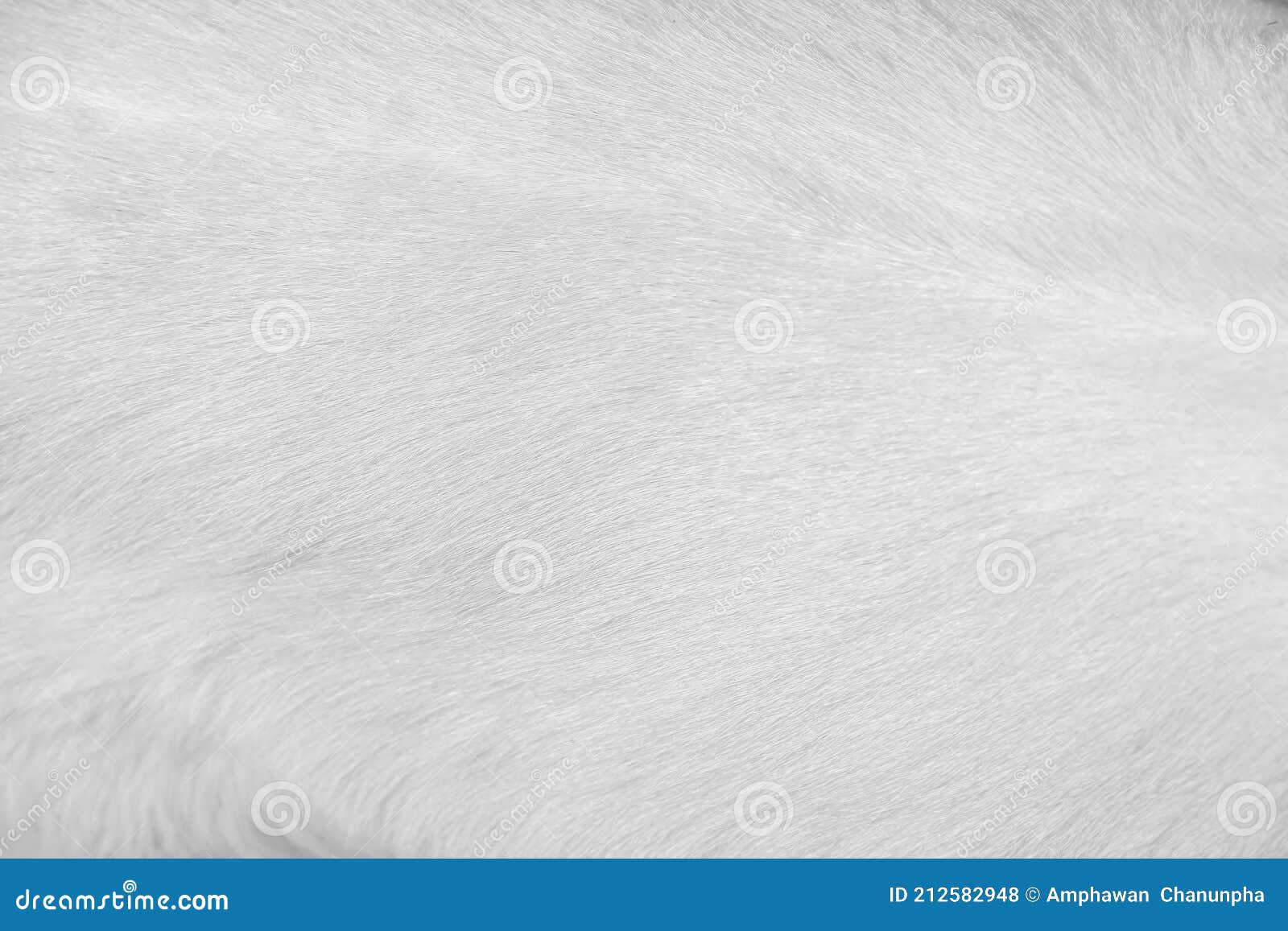 White Goat Fur Texture Abstract Bright Patterns Background Stock Photo ...