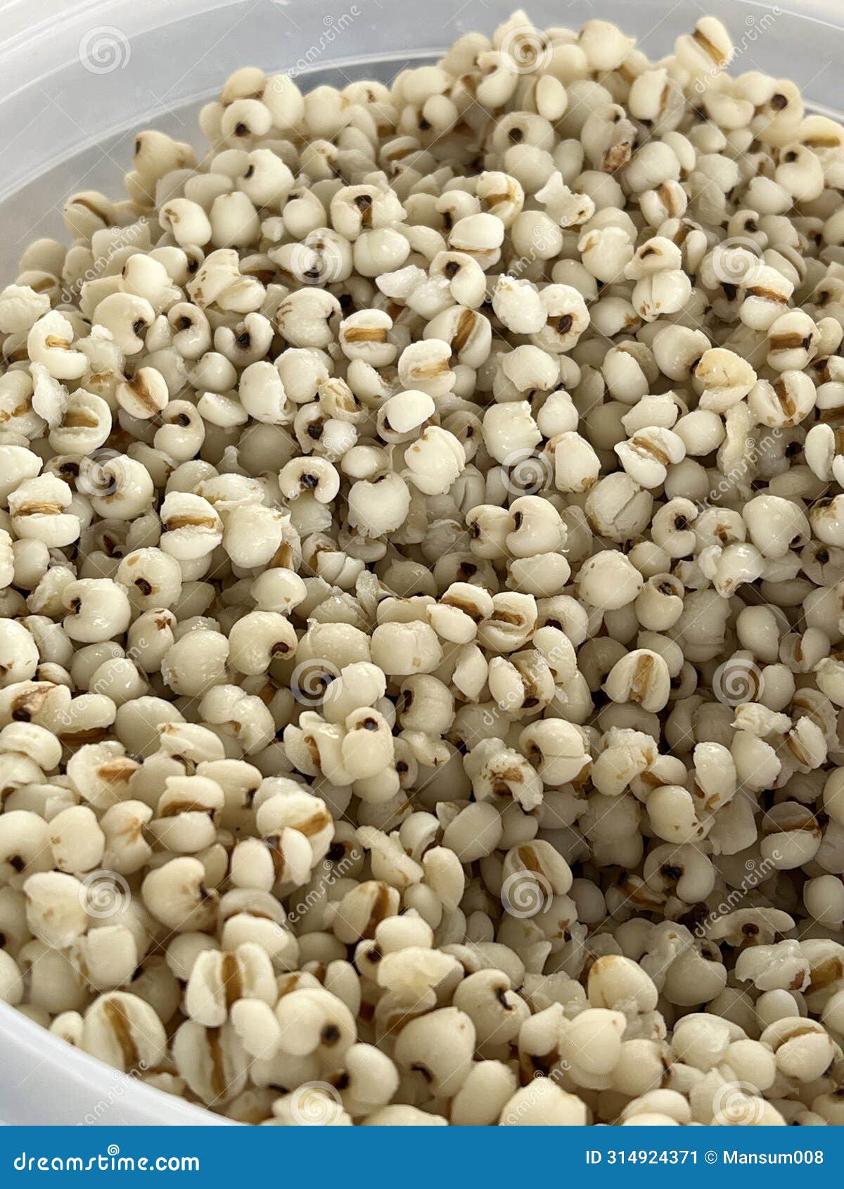 Close Up White Millet Texture Stock Image - Image of natural ...